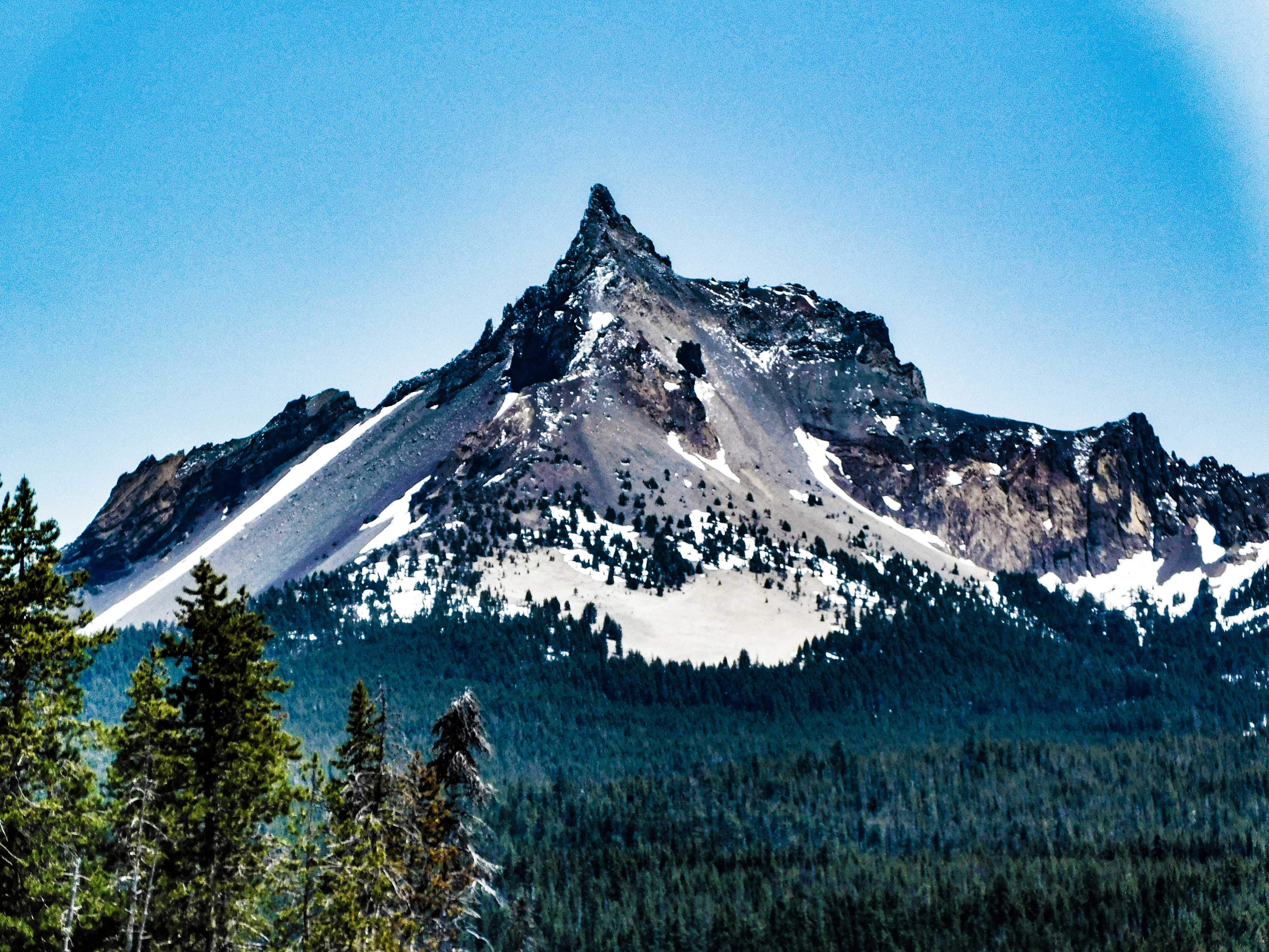 Alpine Sentinel: Snow-Capped Peak Above a Forested Sea