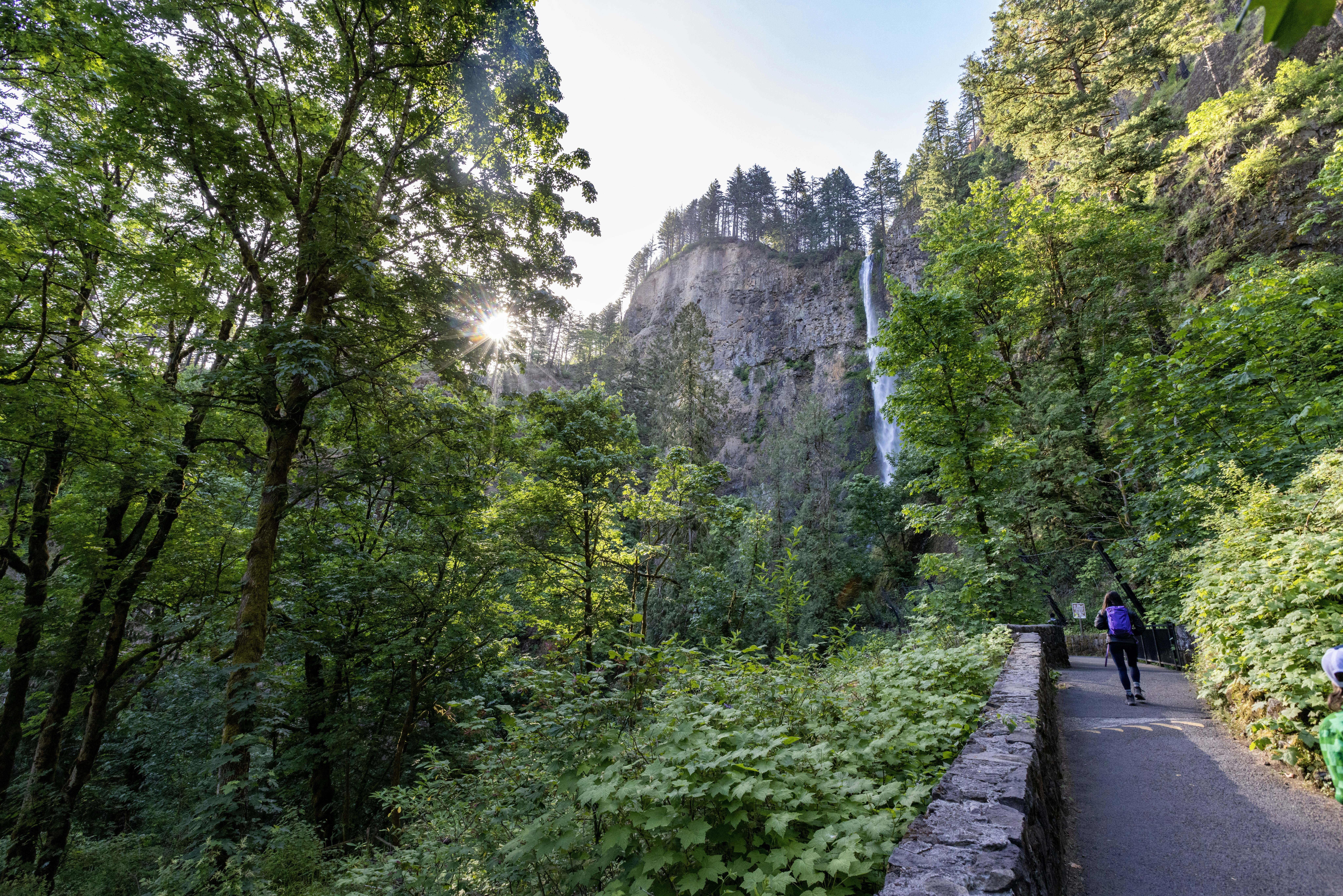Waterfall at the Forest End: A Sunlit Path Through Verdant Cliffs