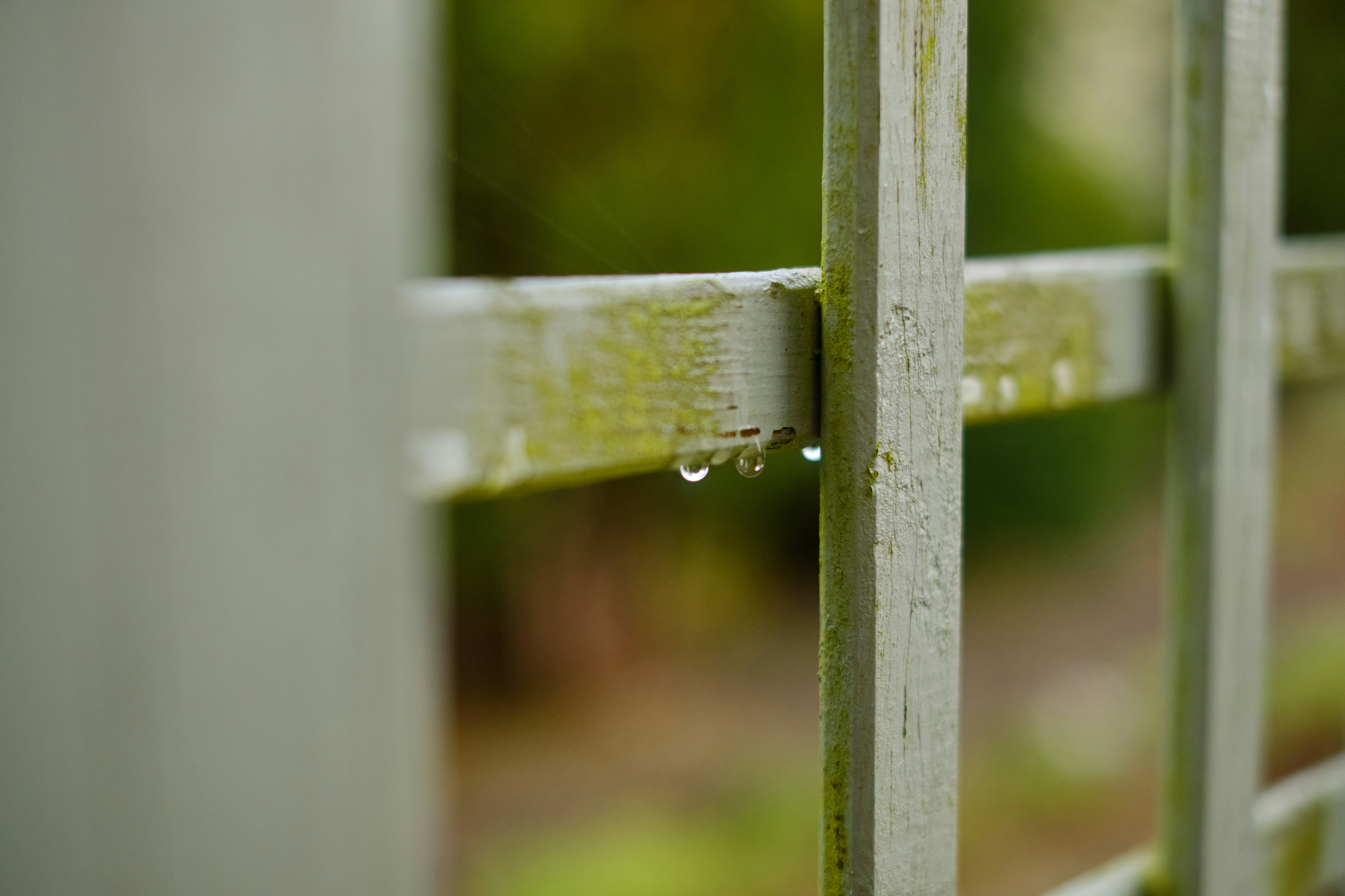 A close up of a wooden fence with drops of water on it photo – Free ...