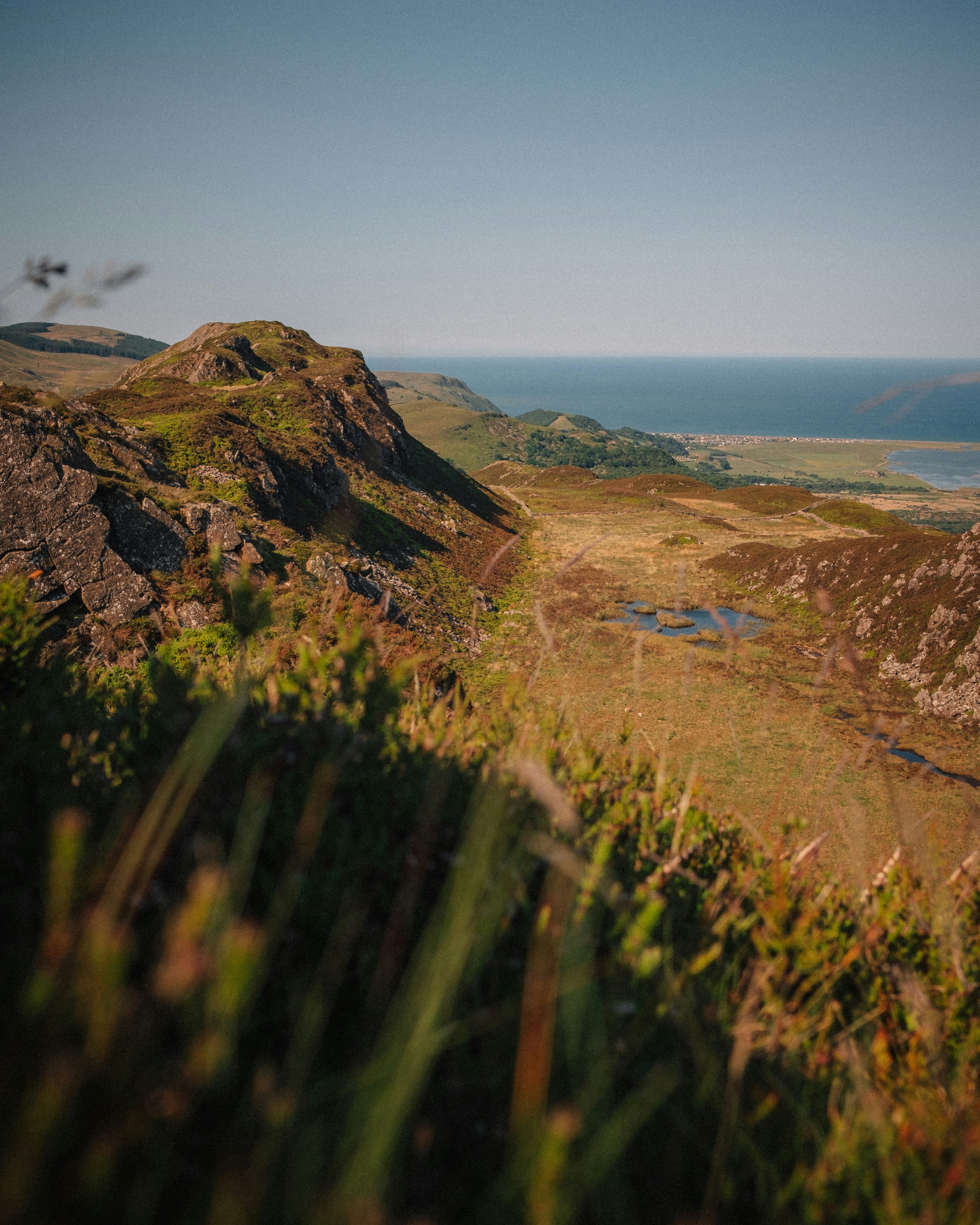 Promontory in Golden Light: Grass, Rocks, and Distant Sea