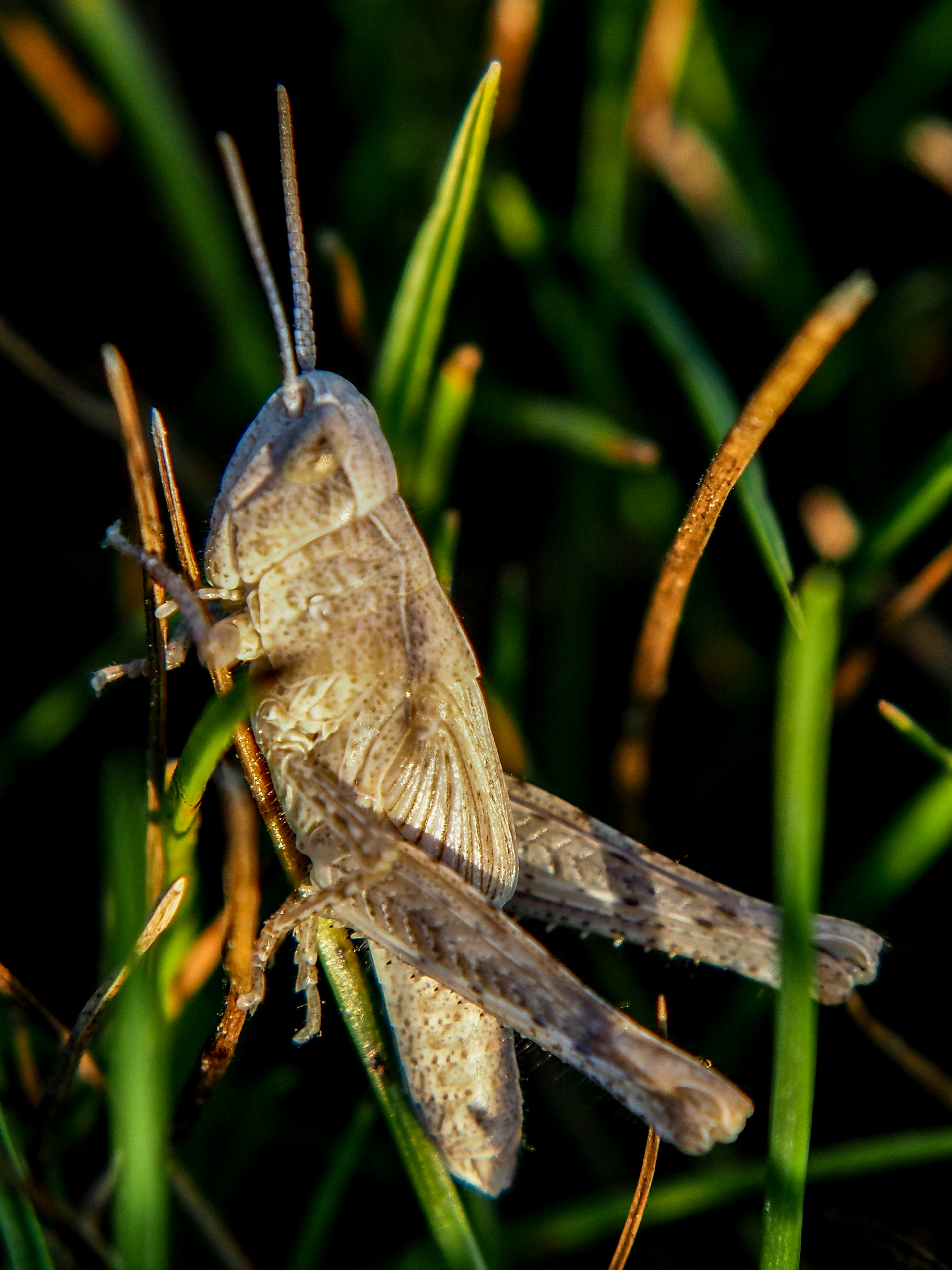 Photo by Lidia Stawinska with Olympus OM-D E-M10 Mark IV