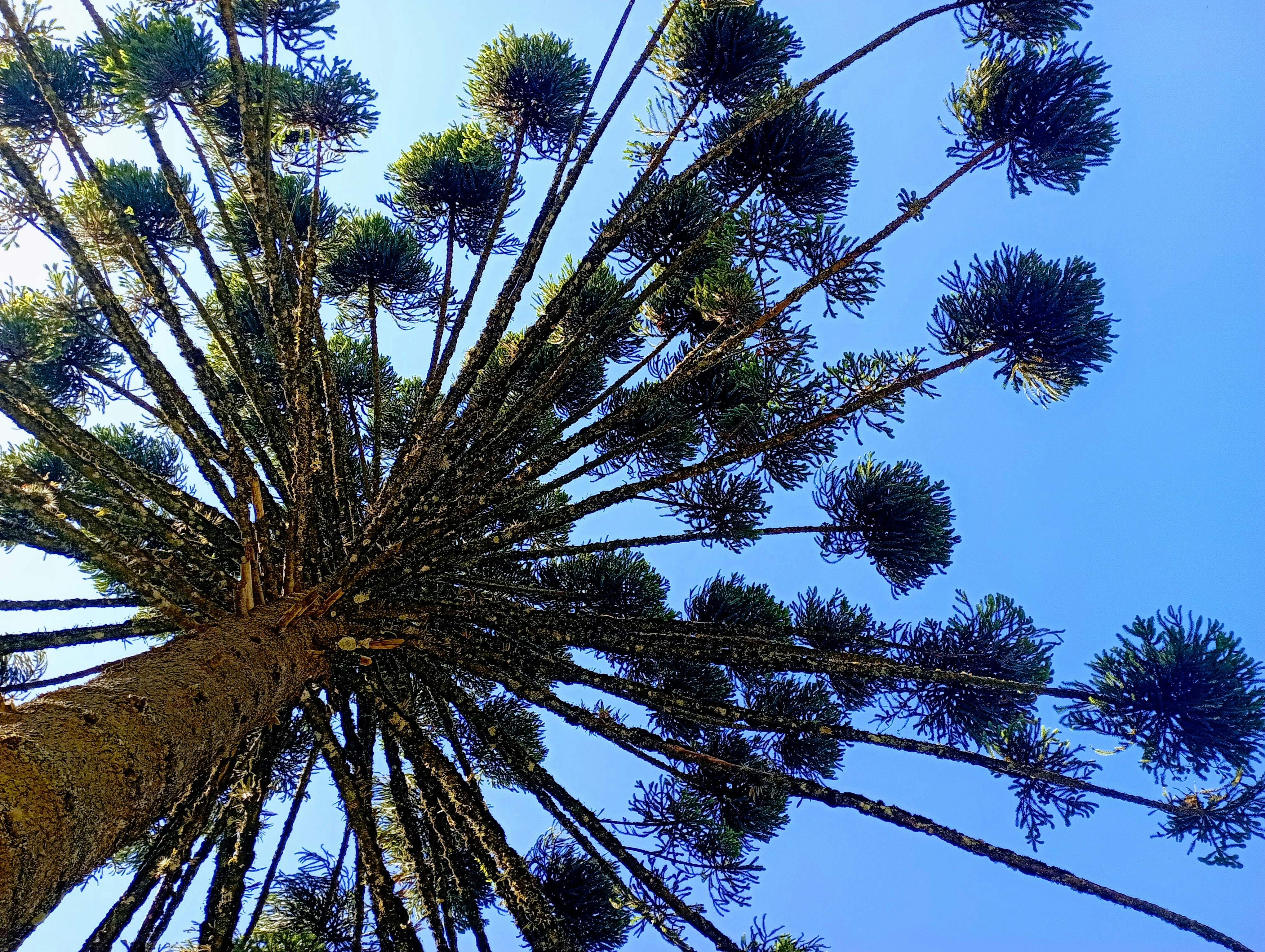 Zack Stone (@zackstone) | Unsplash 사진 커뮤니티