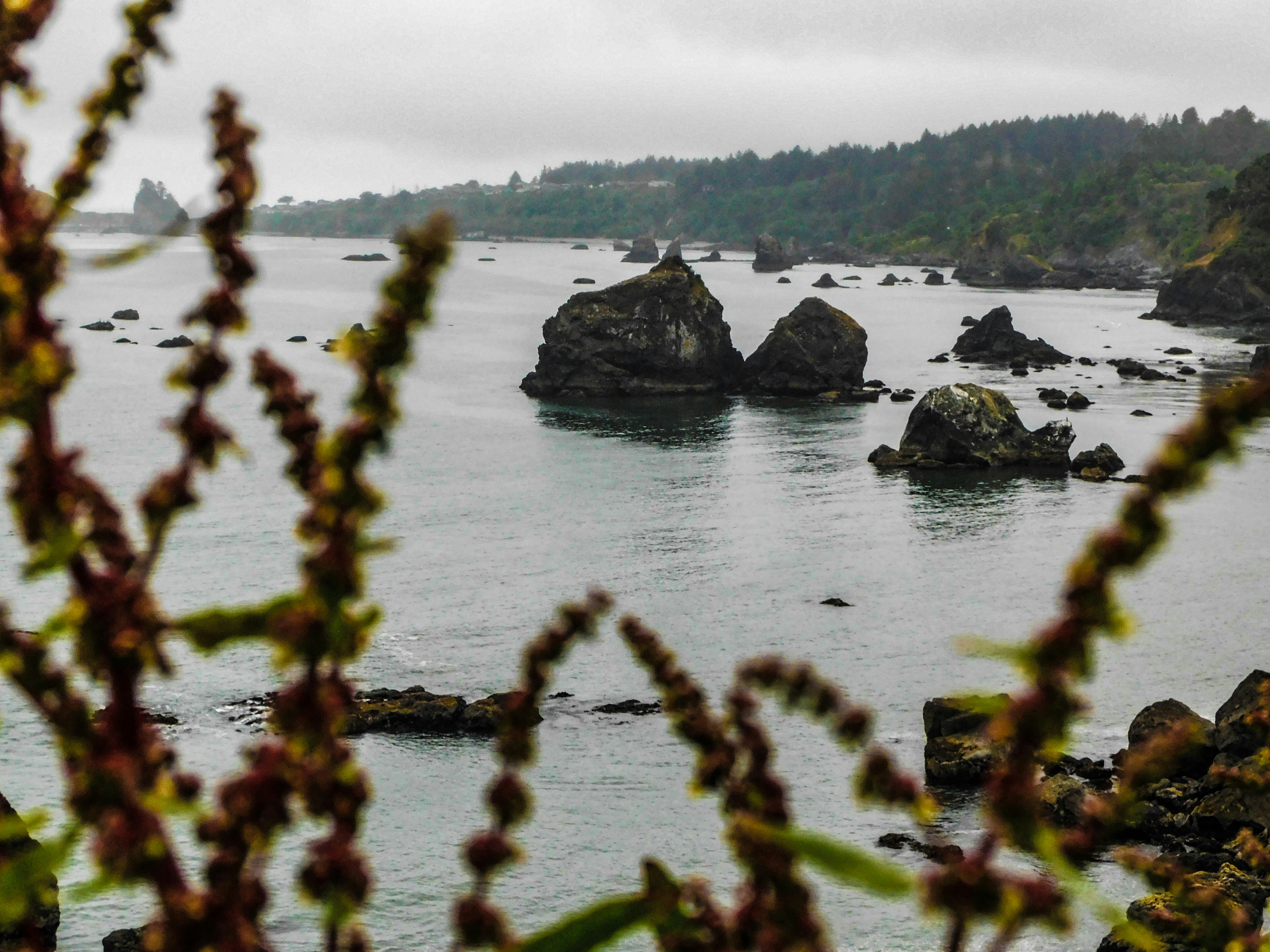 Princes Town, Trinidad and Tobago - all you need to know