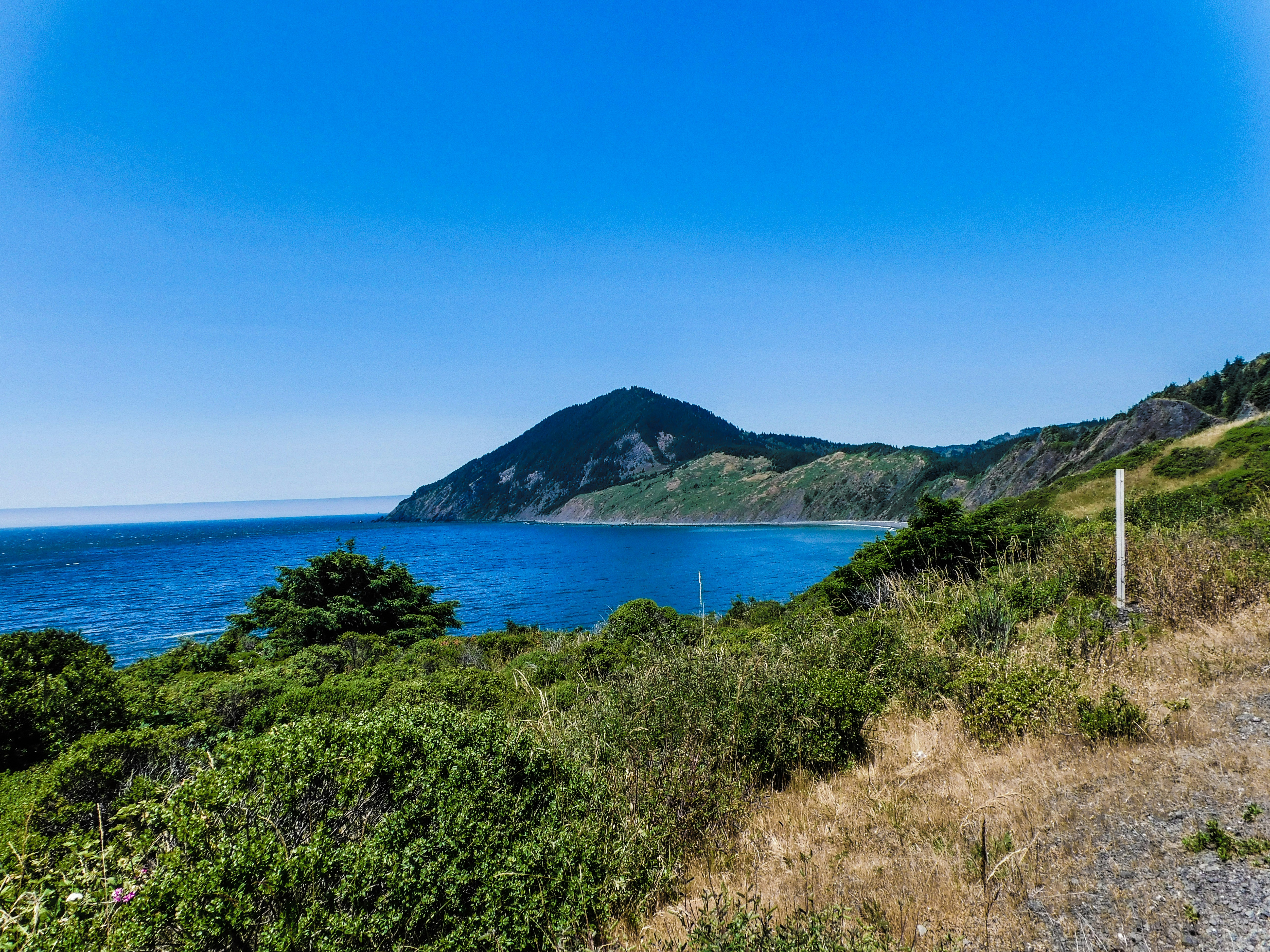 Vibrant coastal landscape showcasing a lush hillside meeting the tranquil blue waters of the ocean under a clear sky.