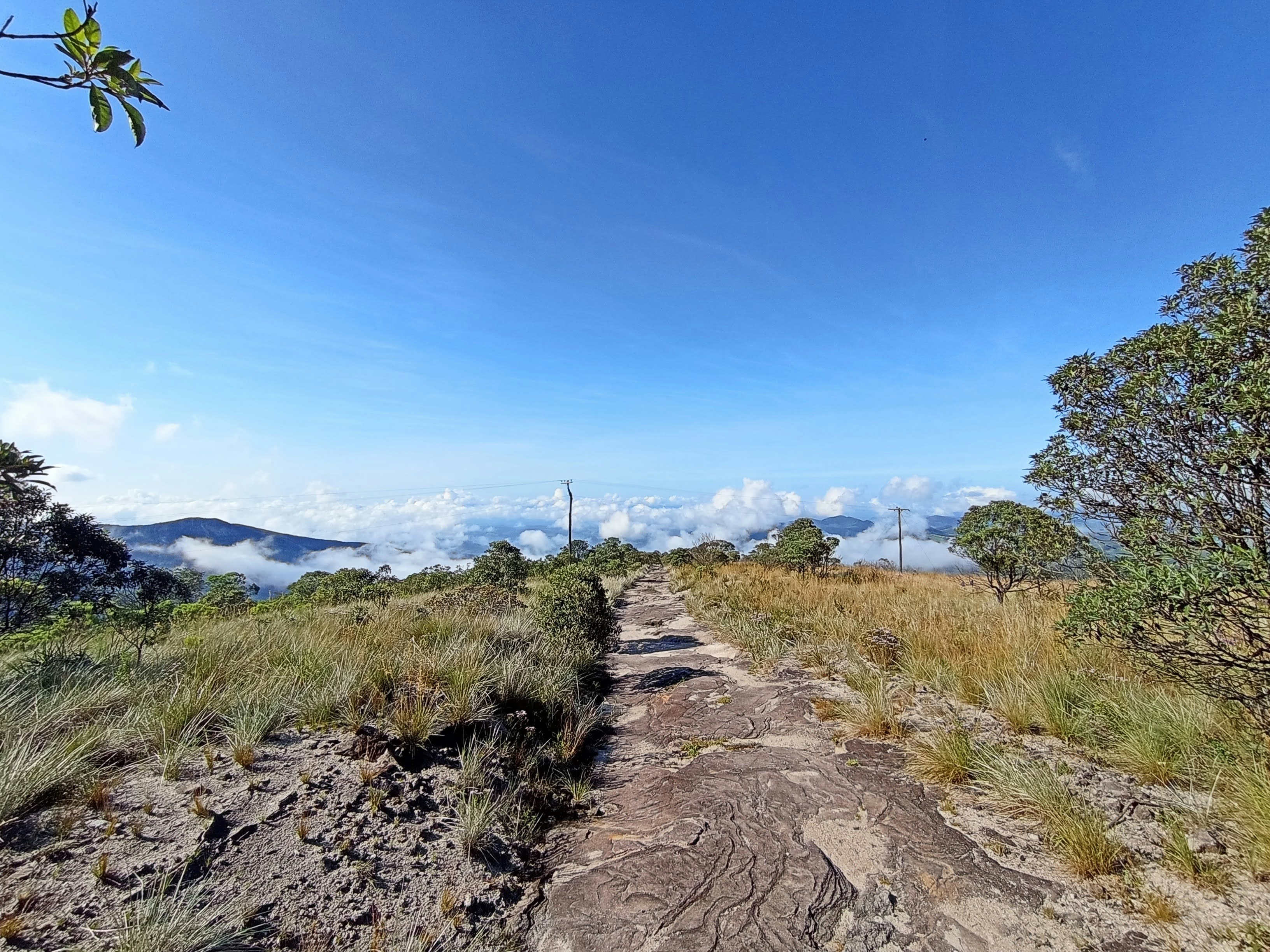 Zack Stone (@zackstone) | Unsplash 사진 커뮤니티