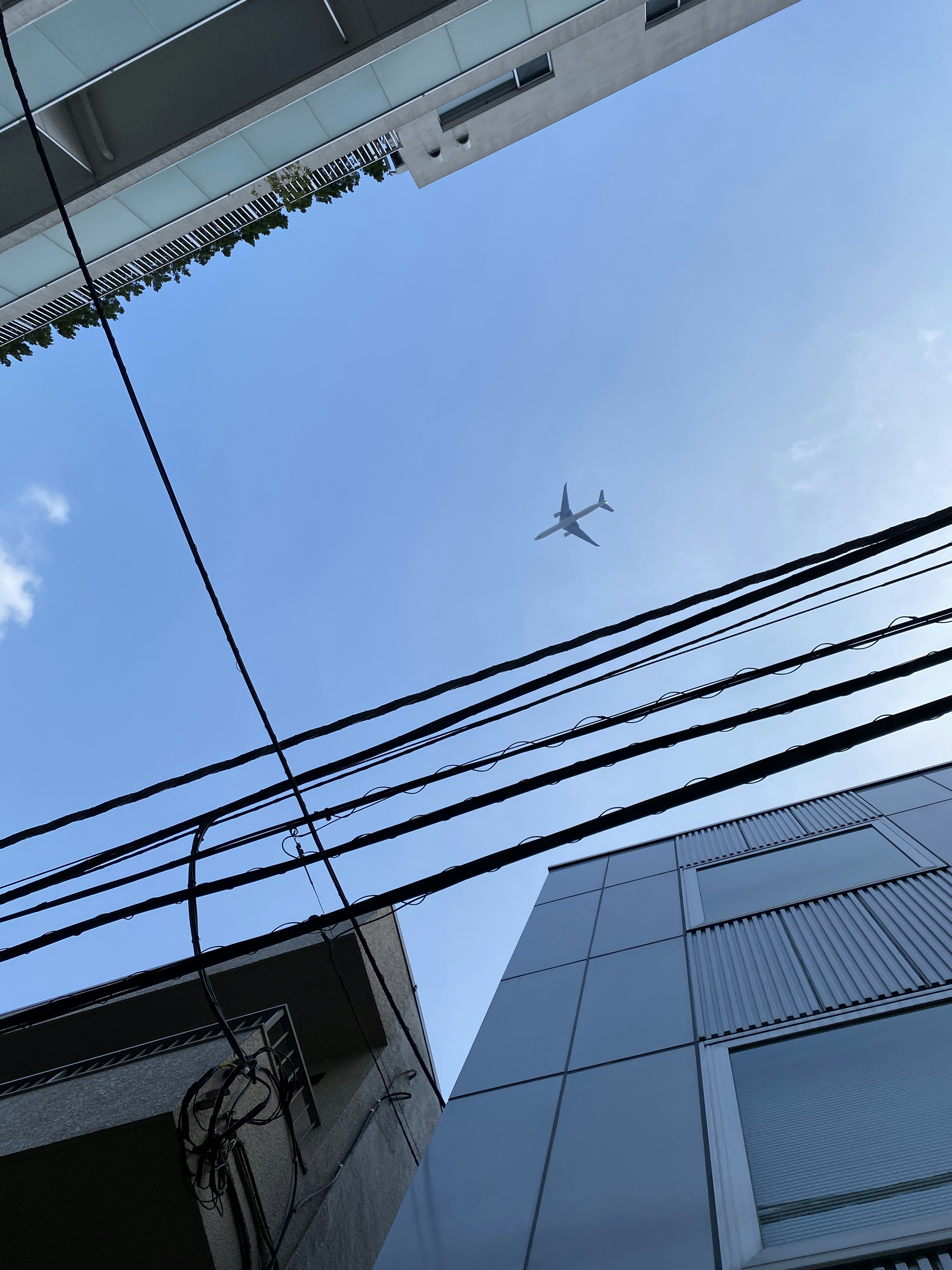 Airplane flying over skyscrapers and power lines against a clear blue sky.