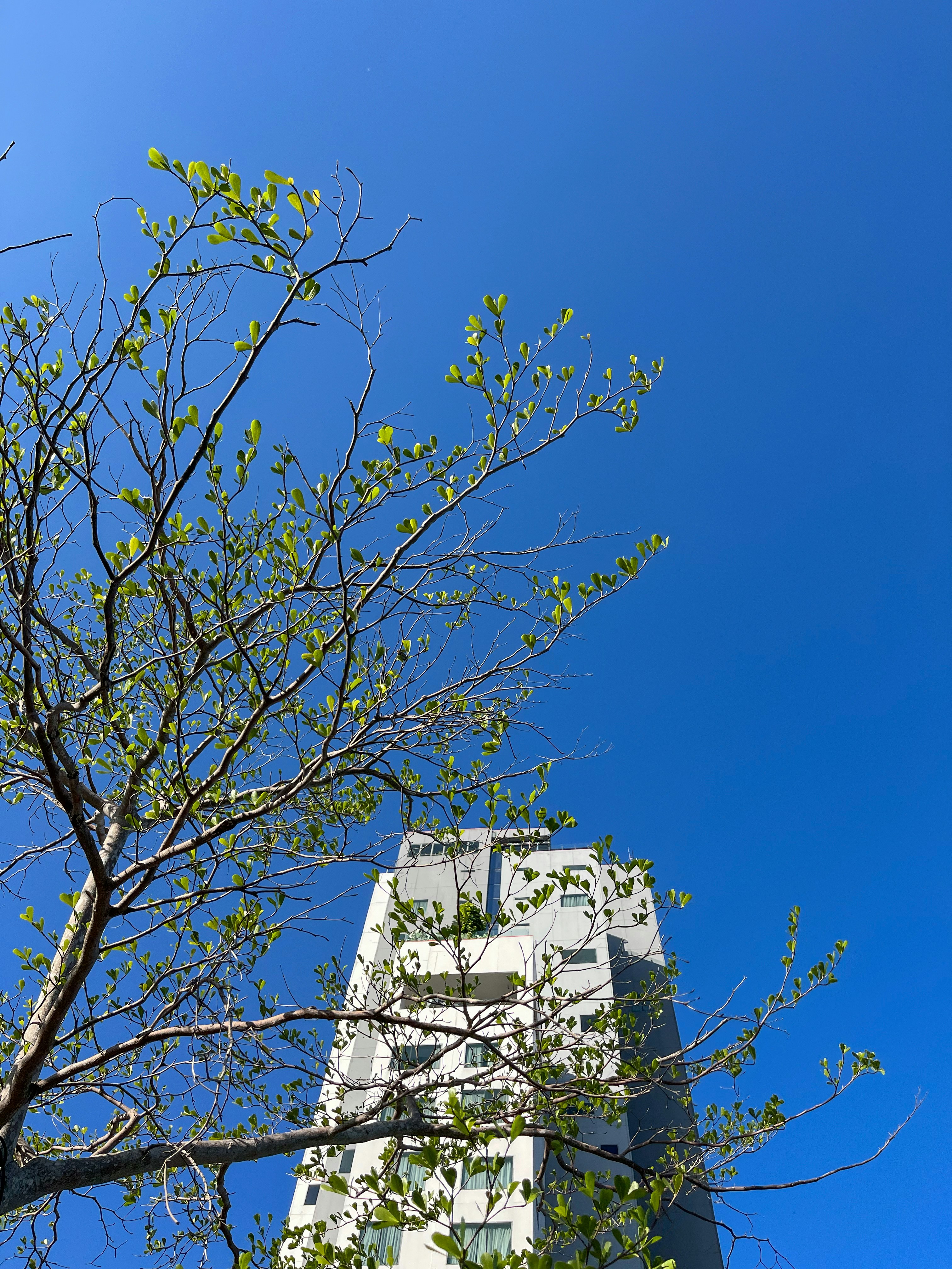 Photo by Sholeh Qomaruddin with Apple iPhone 13 mini