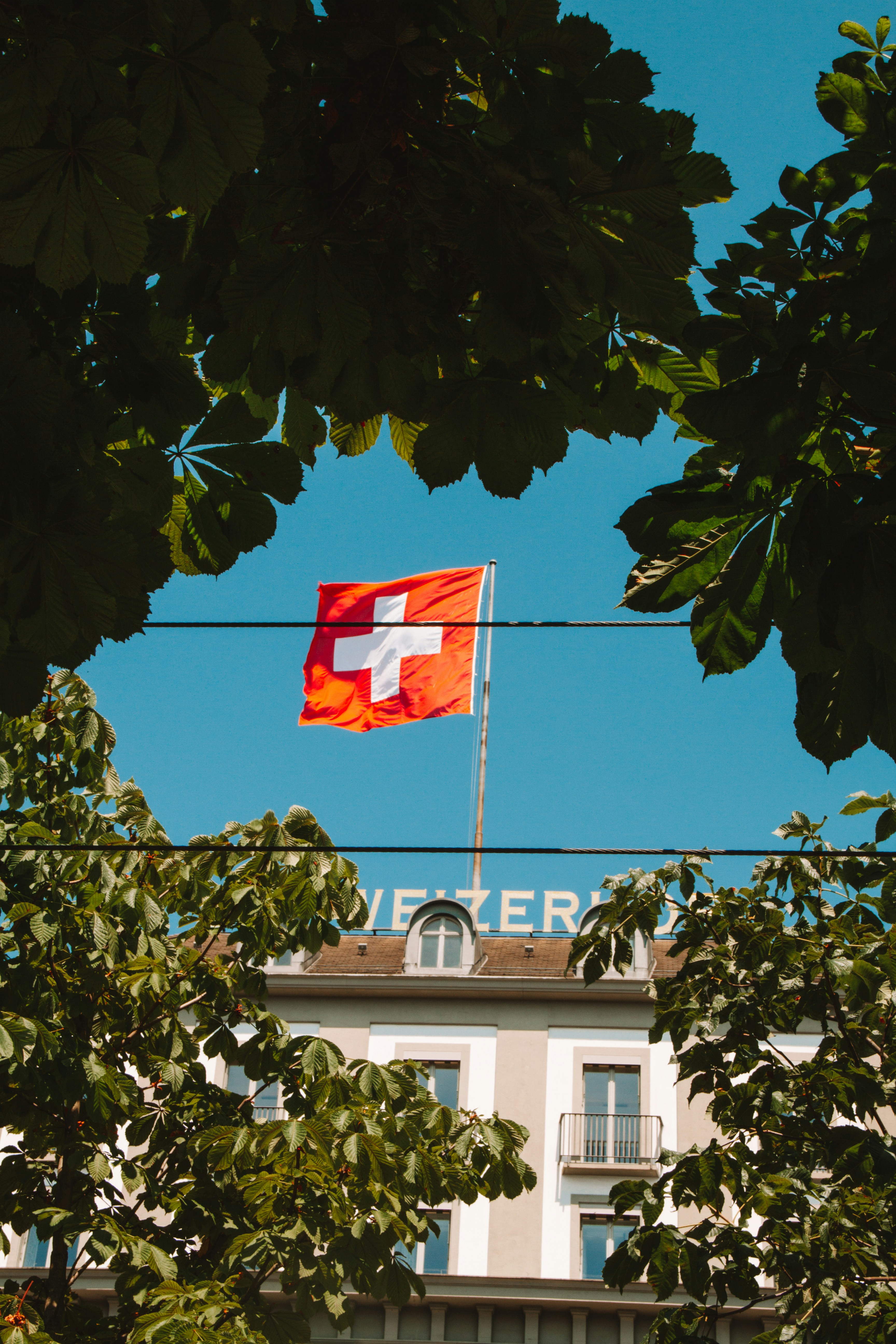 Swiss Flag Framed by Green Canopy: a Quiet Street Under a Bright Sky