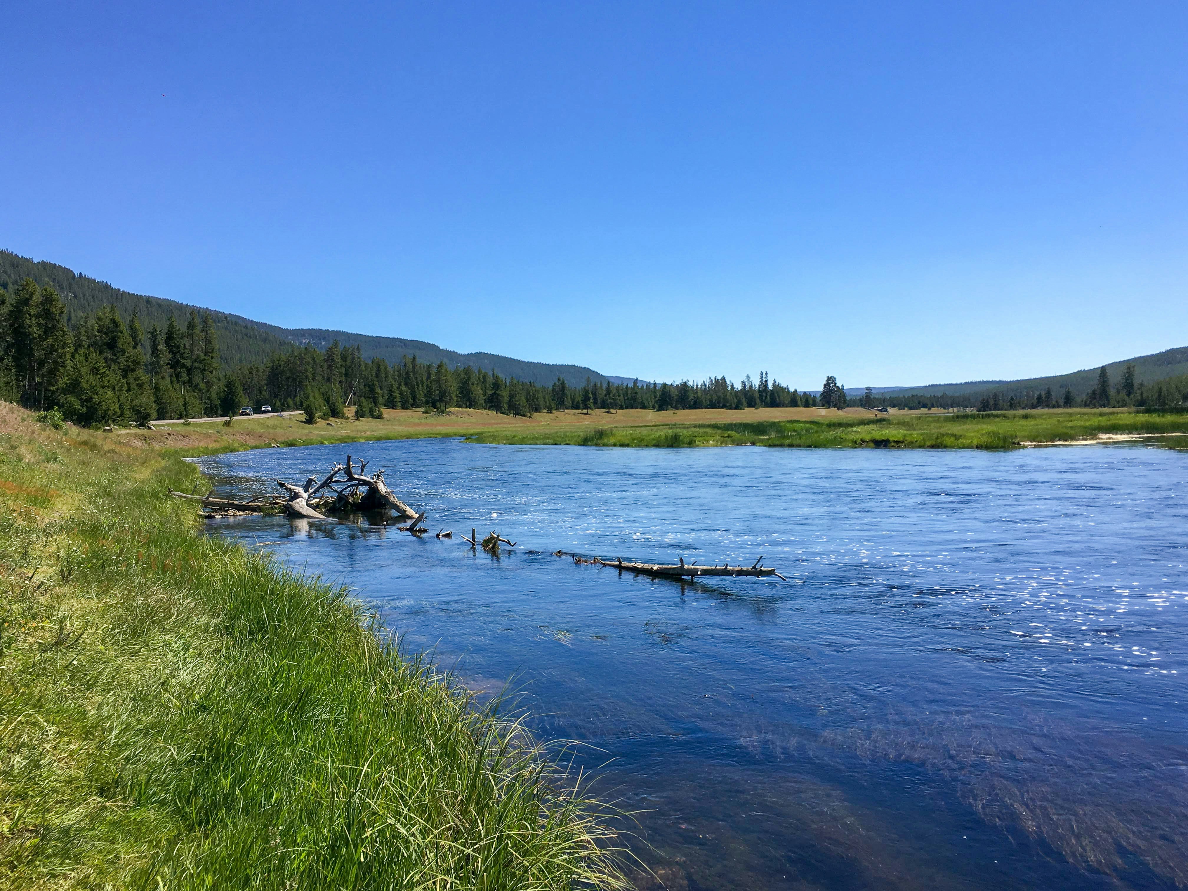 Calm river flowing through lush green meadow under a clear blue sky.