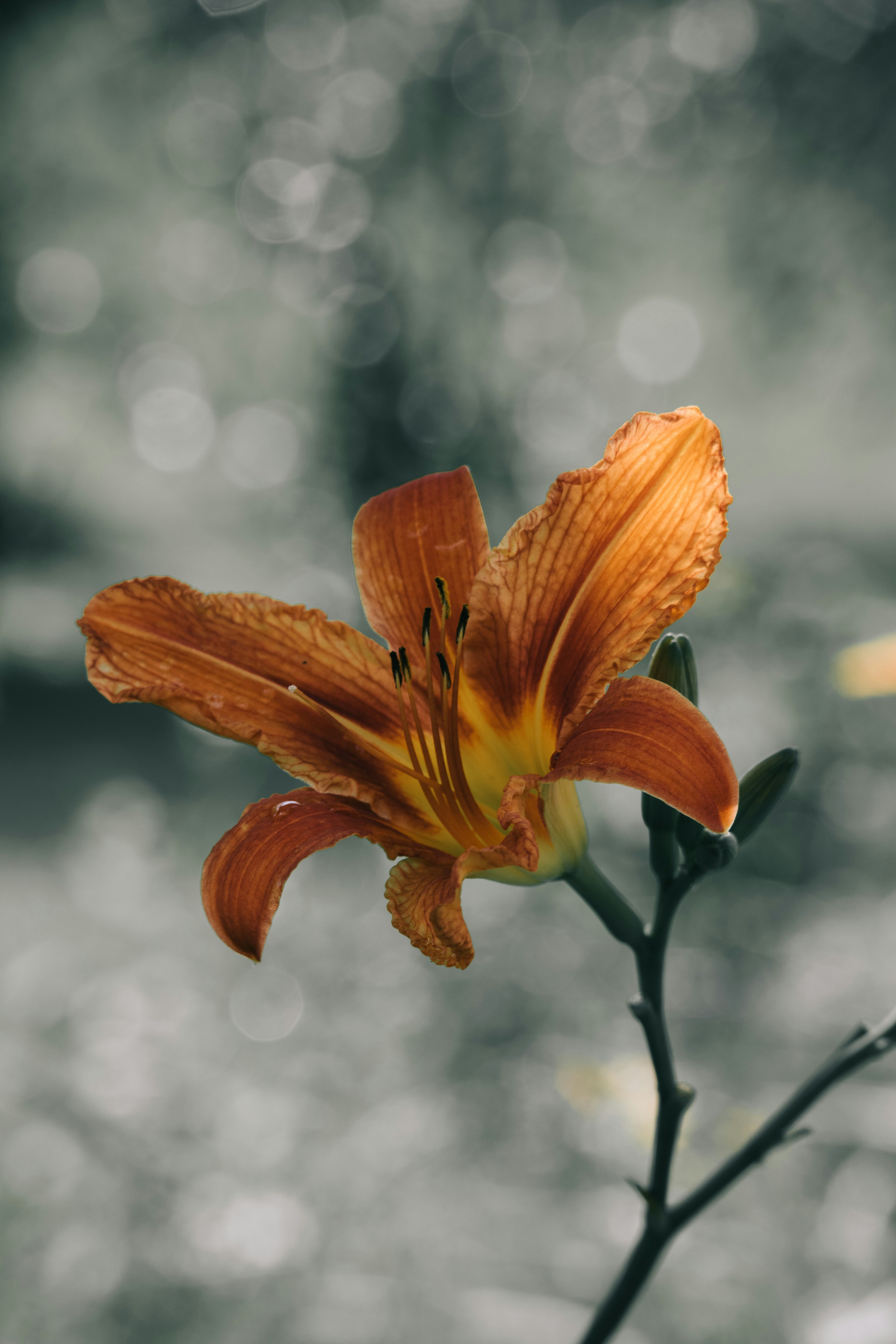 Photo by kub liz with Canon EOS M50 Mark II