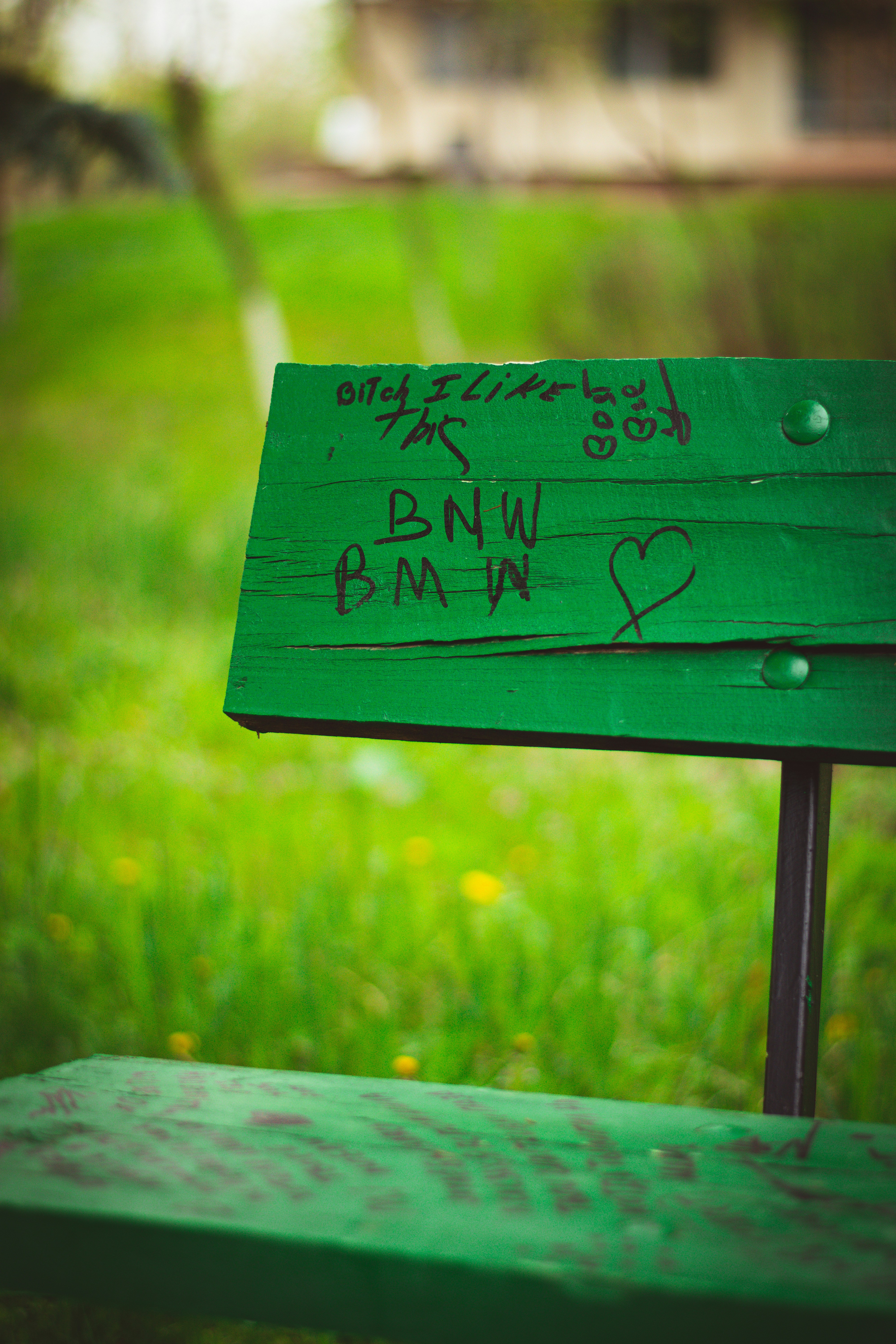 Photo by Malanca Stanislav with Nikon D5600