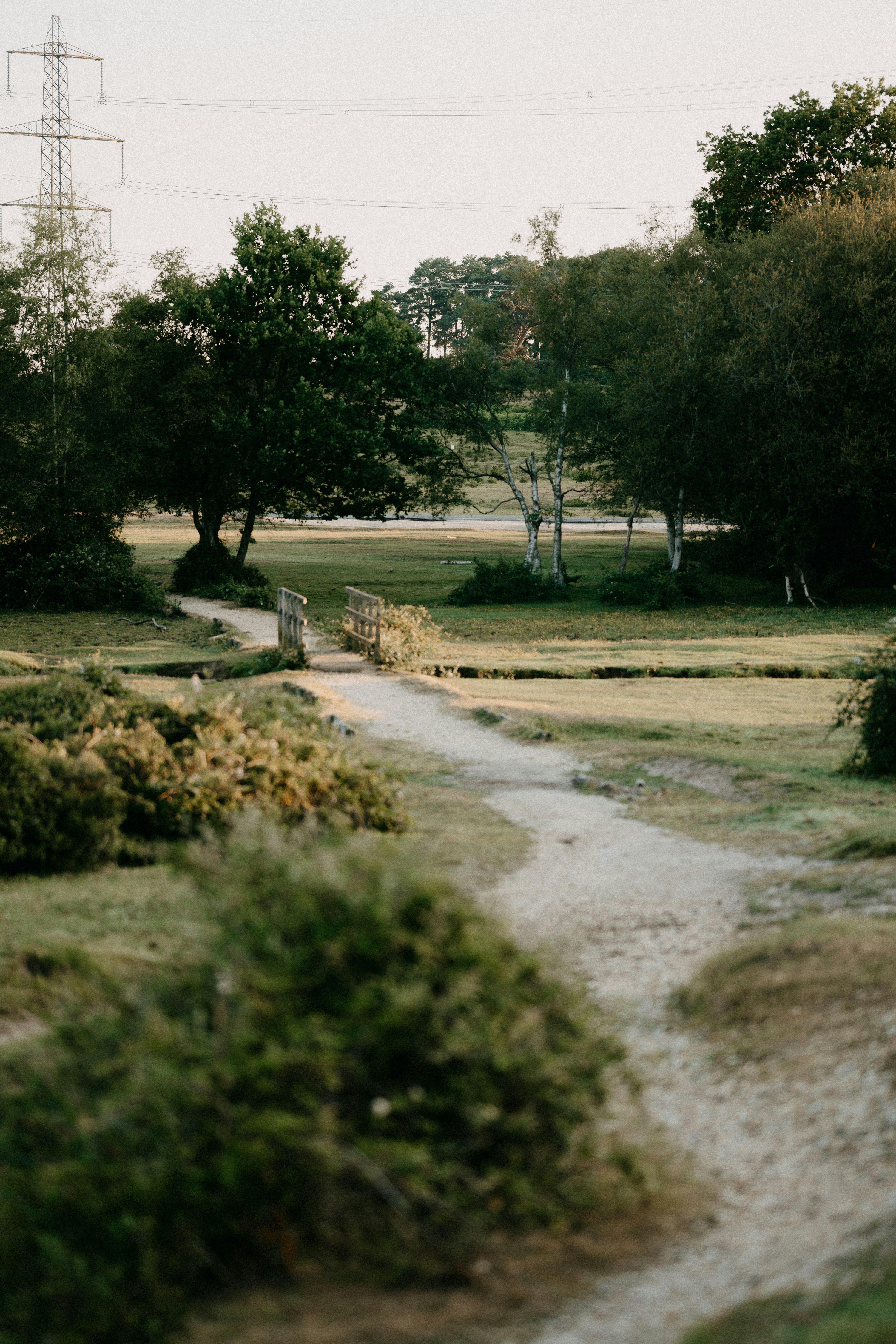 A path in the middle of a grassy field photo – Free Nature Image on ...
