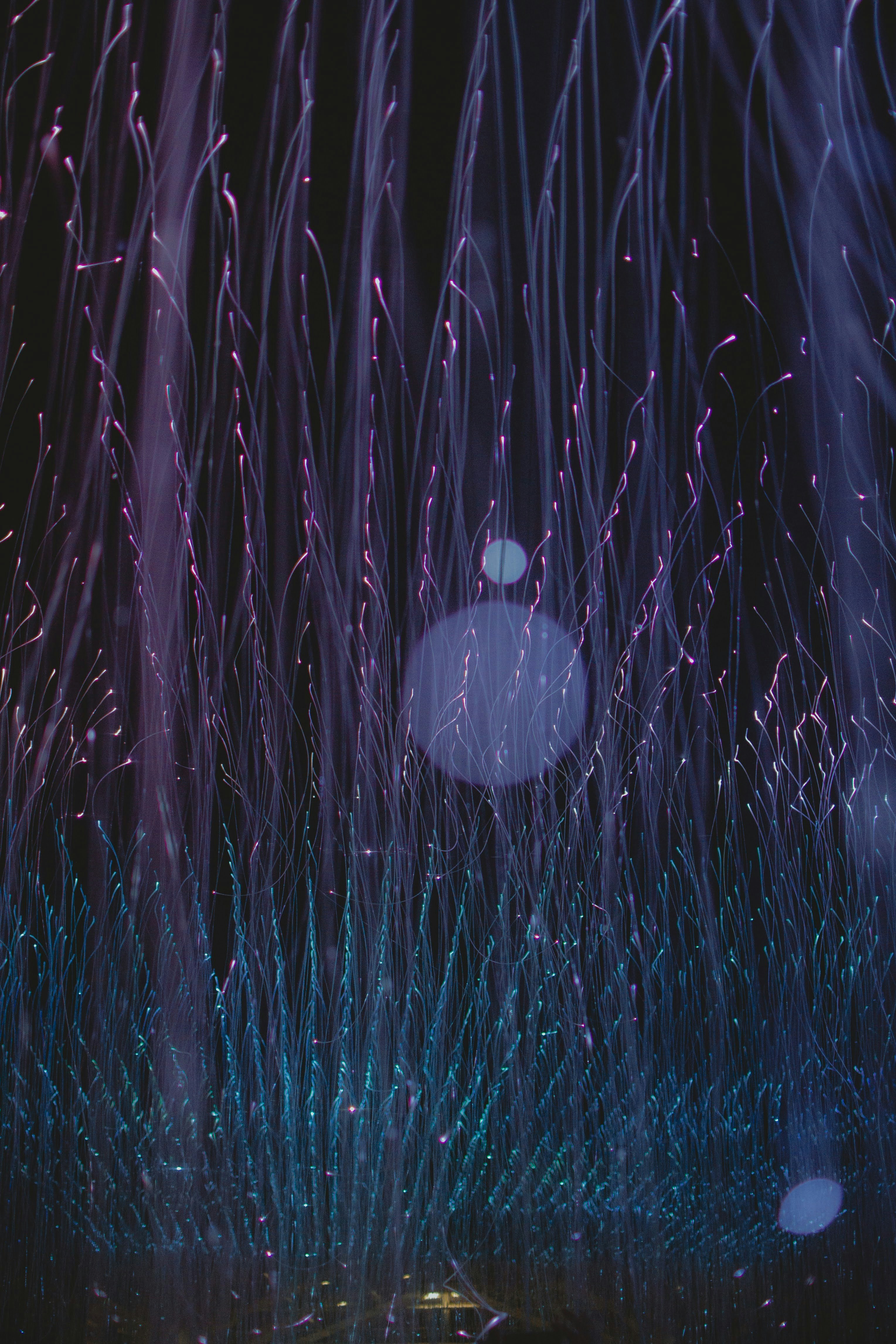 Glowing Filaments: a field of neon wisps in a velvet-dark setting