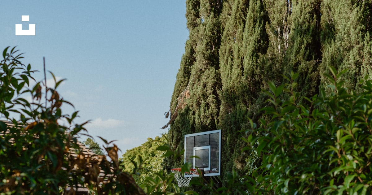 いくつかの木の真ん中にあるバスケットボールのフープの写真 Unsplashの陸の無料画像
