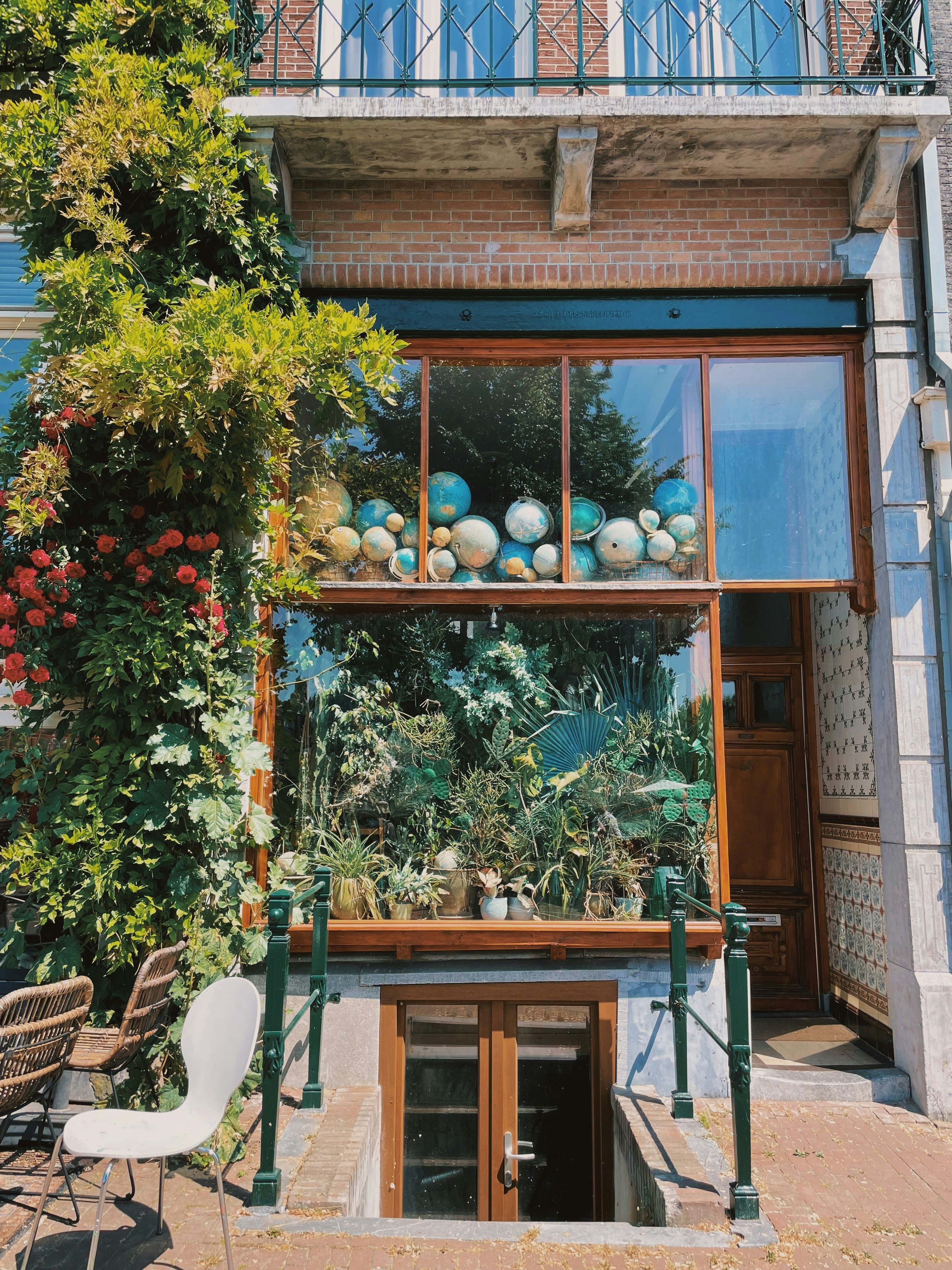 Urban Greenhouse: A Brick Facade Framed by Foliage and Glass