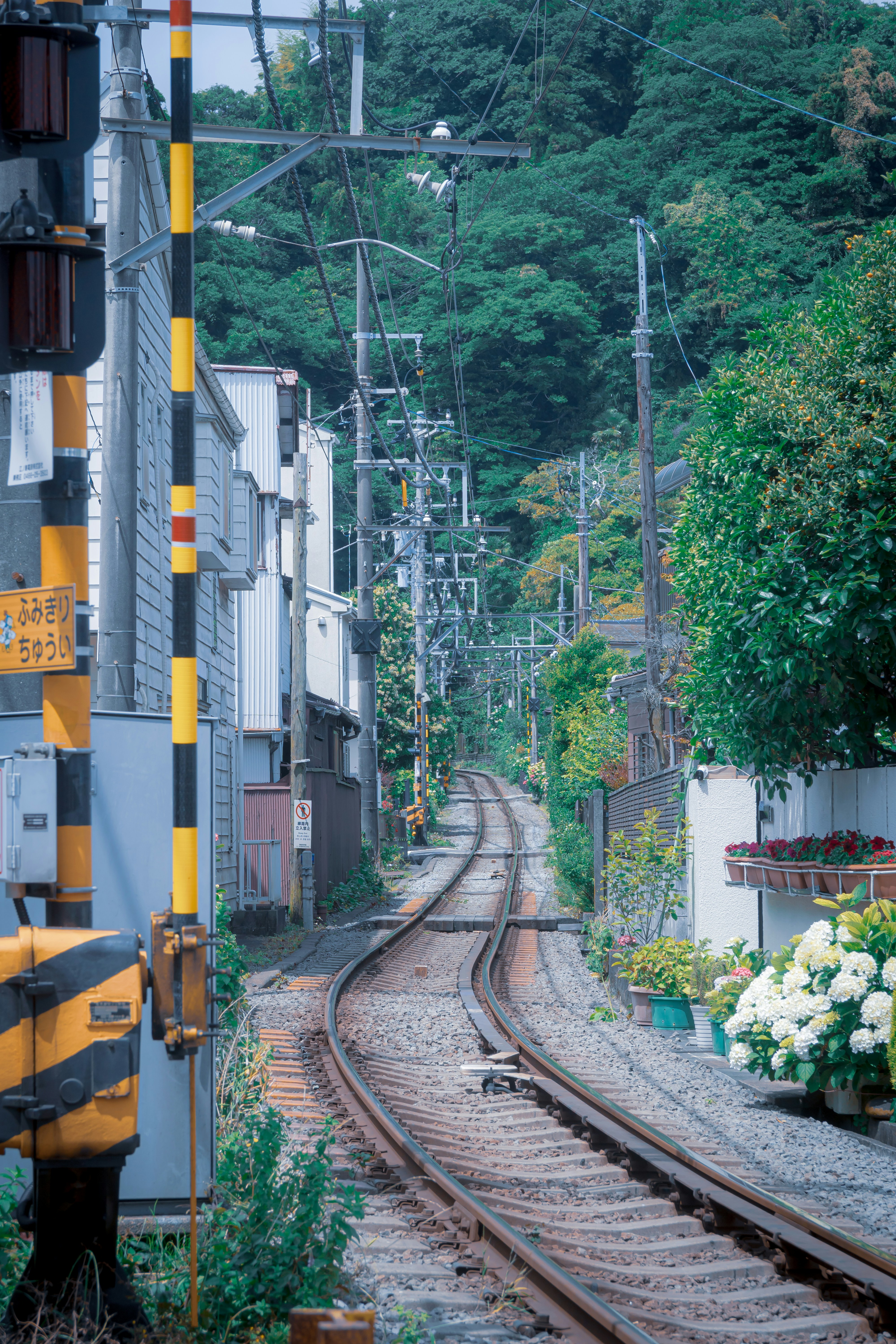 Converging Rails Through a Green-Threaded Village Street