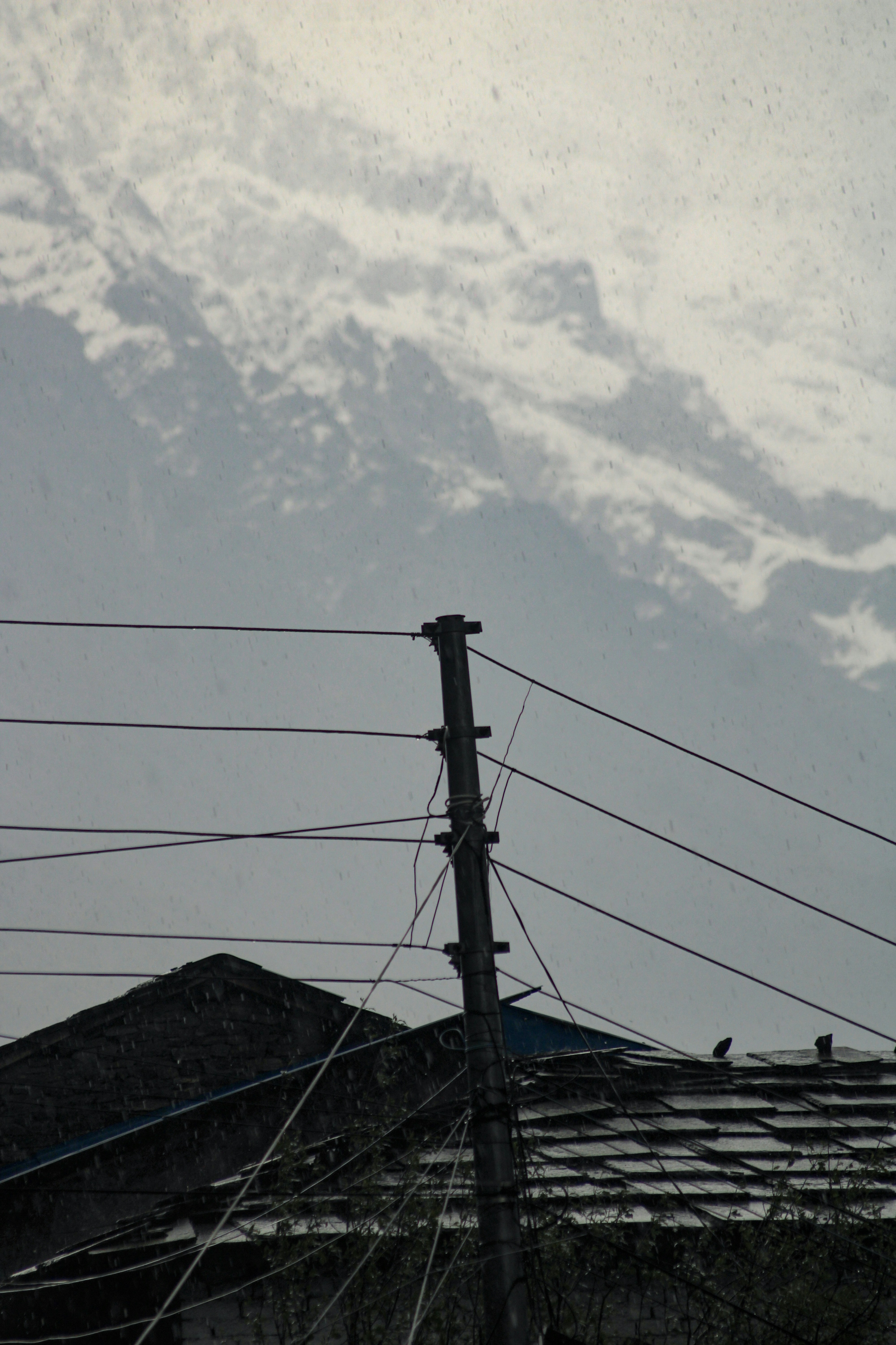 Urban Telegraph Lines Against Snowy Ridge