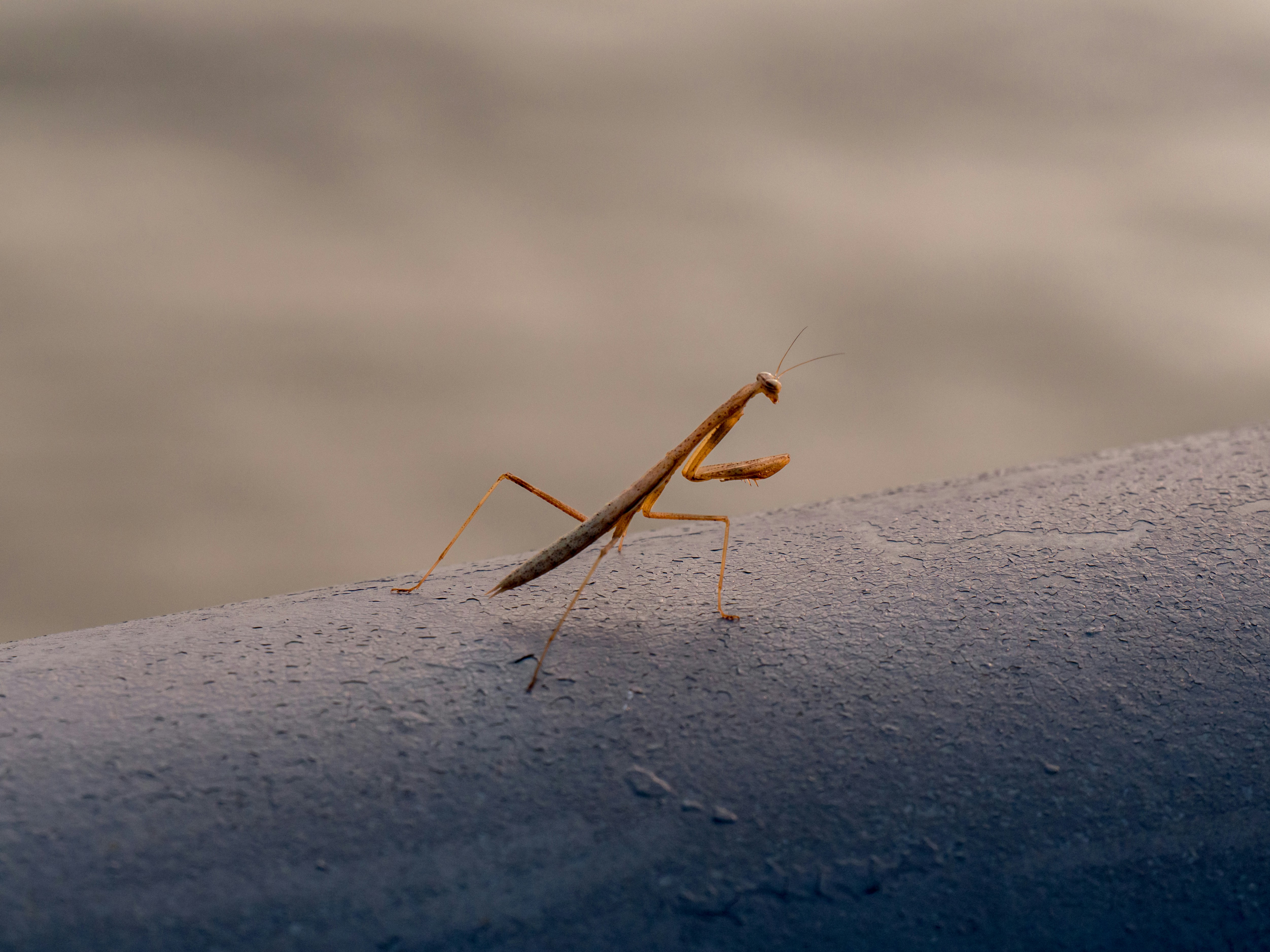 Photo by He Junhui with Panasonic Lumix GX9