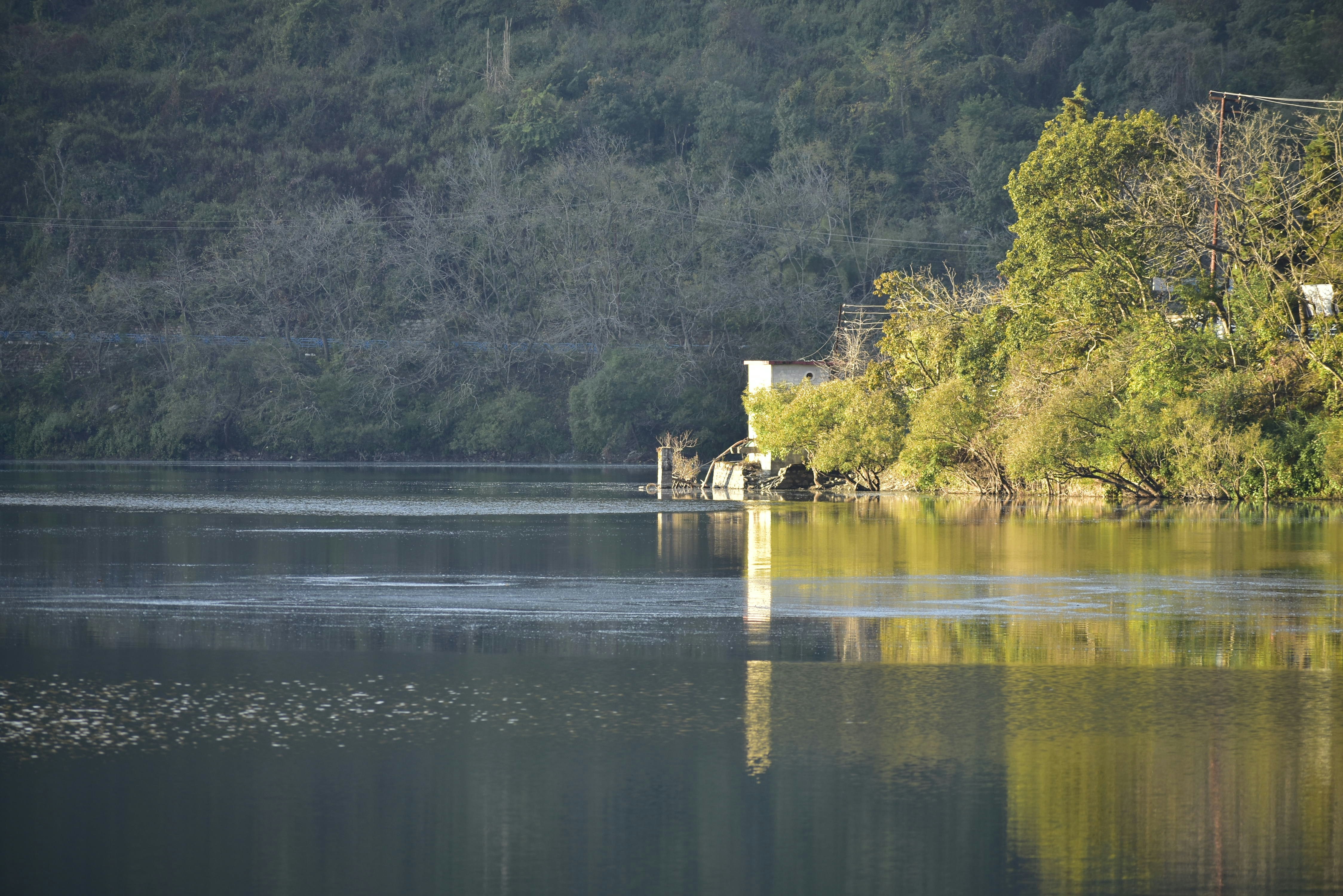 Glassy Lake Reflections: The Quiet Wharf Beside a Willow-hemmed Shore