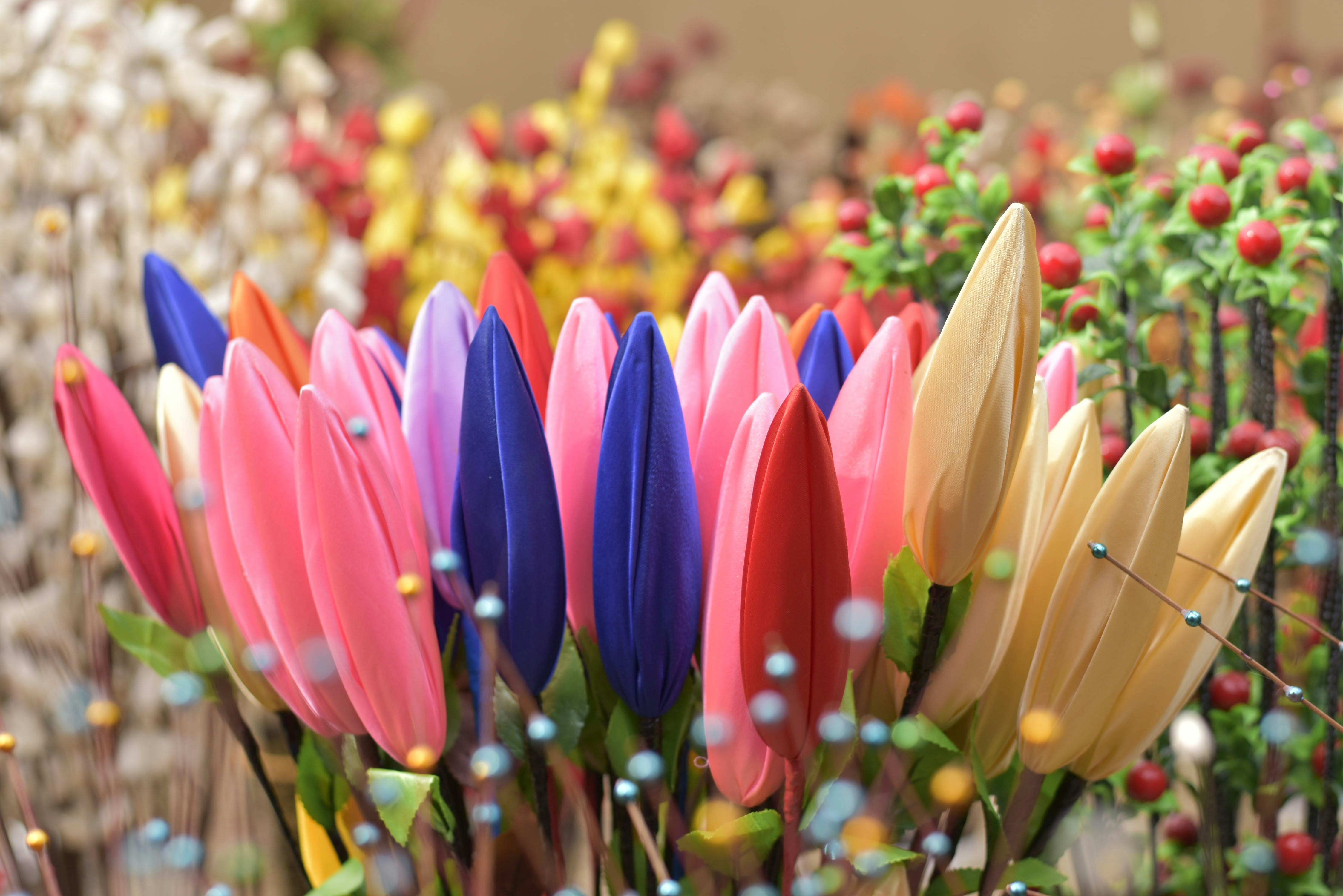 Chromatic Tulip Row in Velvet Garden