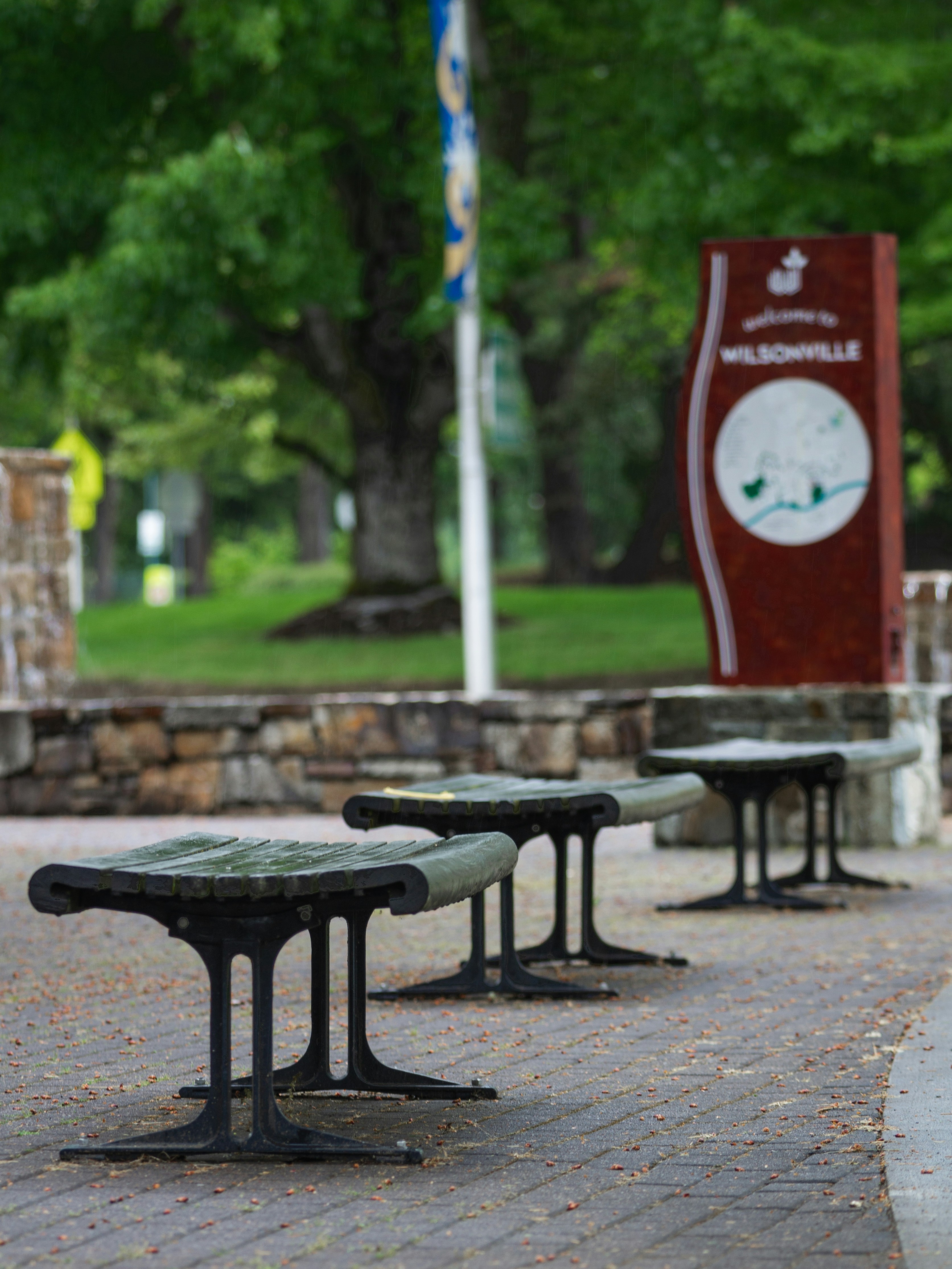 Three Weathered Park Benches Lead the Eye Along a Quiet Path