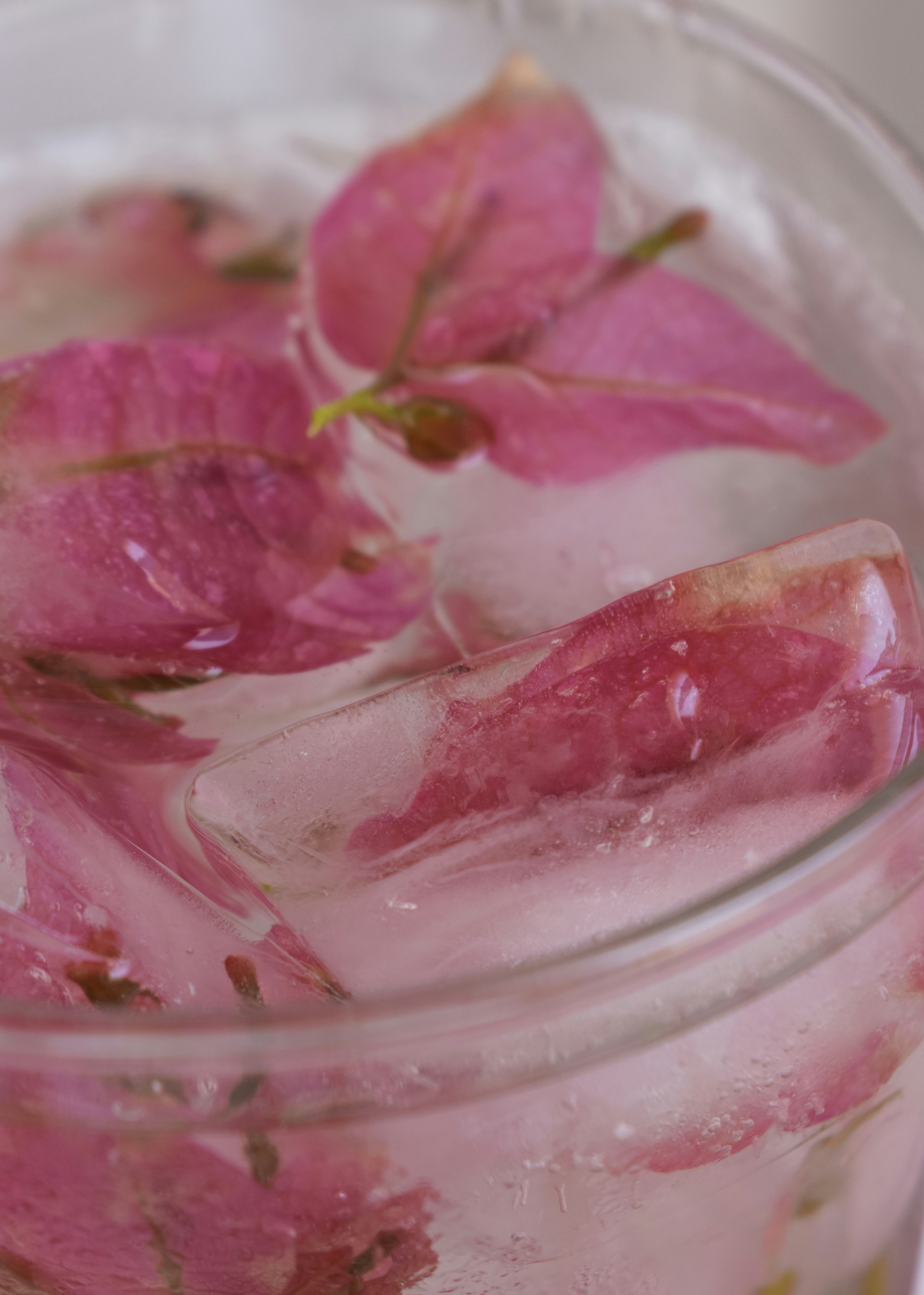 Rose Petals in Ice: a Macro Portrait in a Glass