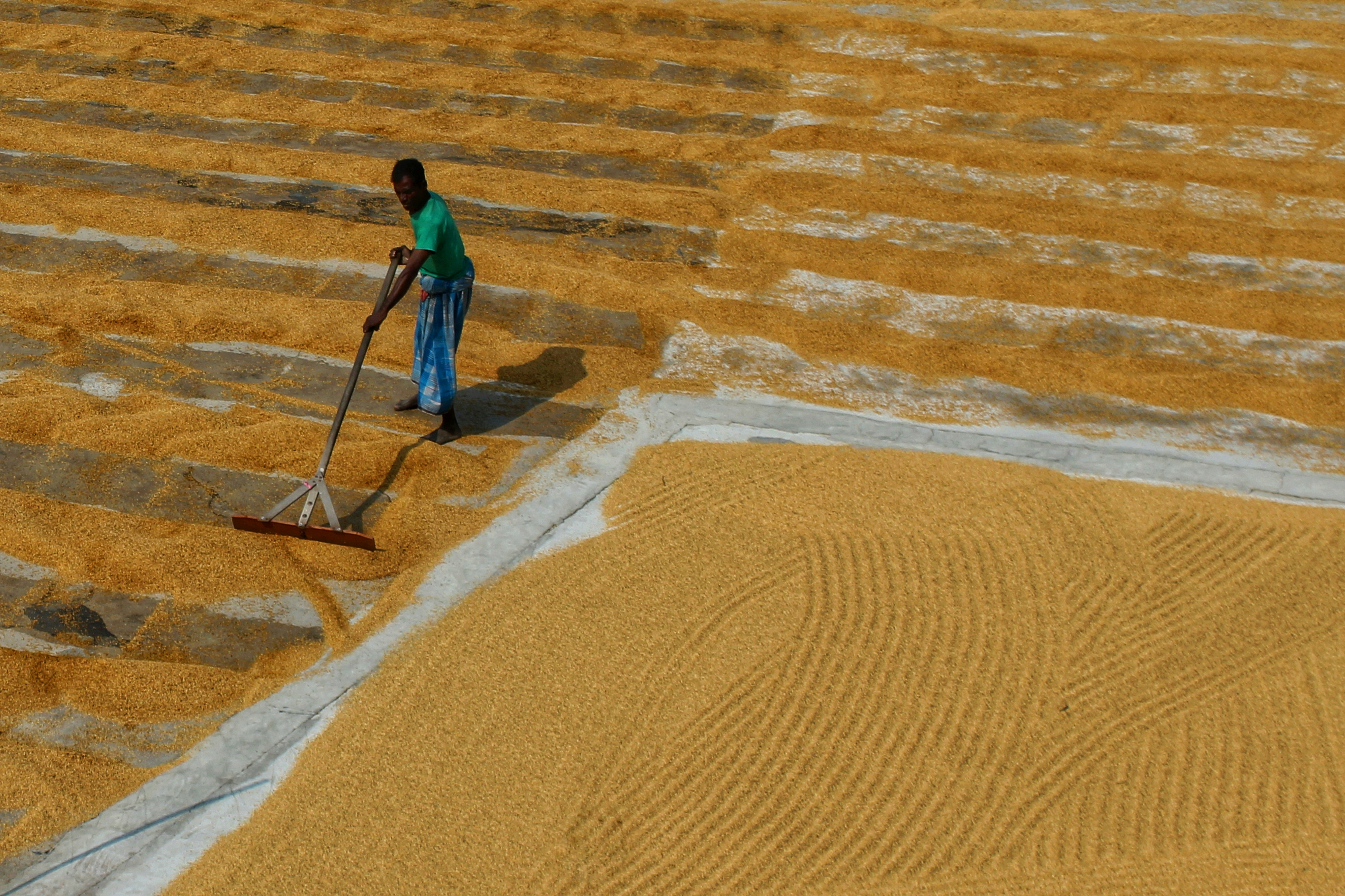 A woman with a mop is standing in a field photo – Free Village people ...