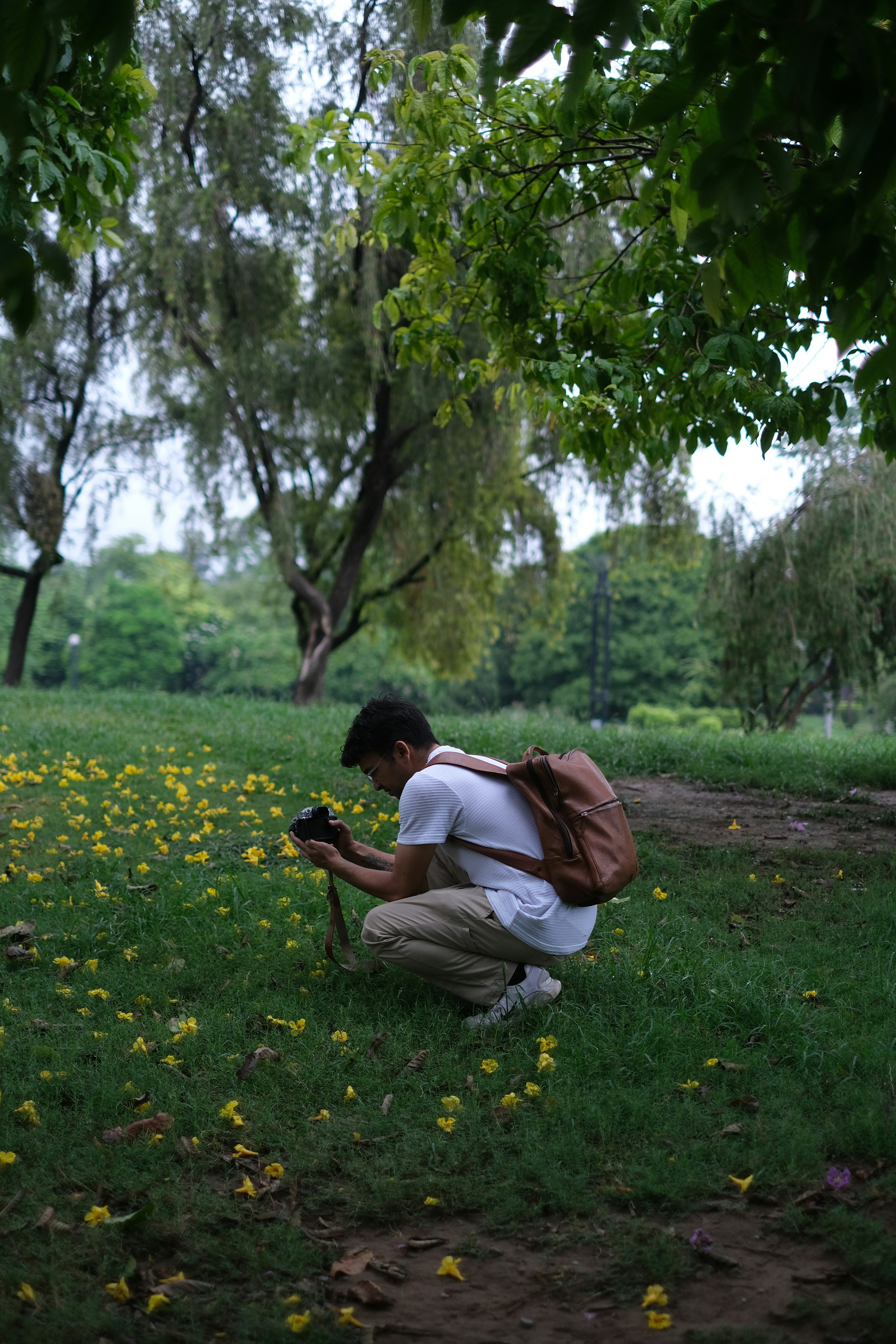 Whispering Petals: A Photographer's Quiet Moment in the Park