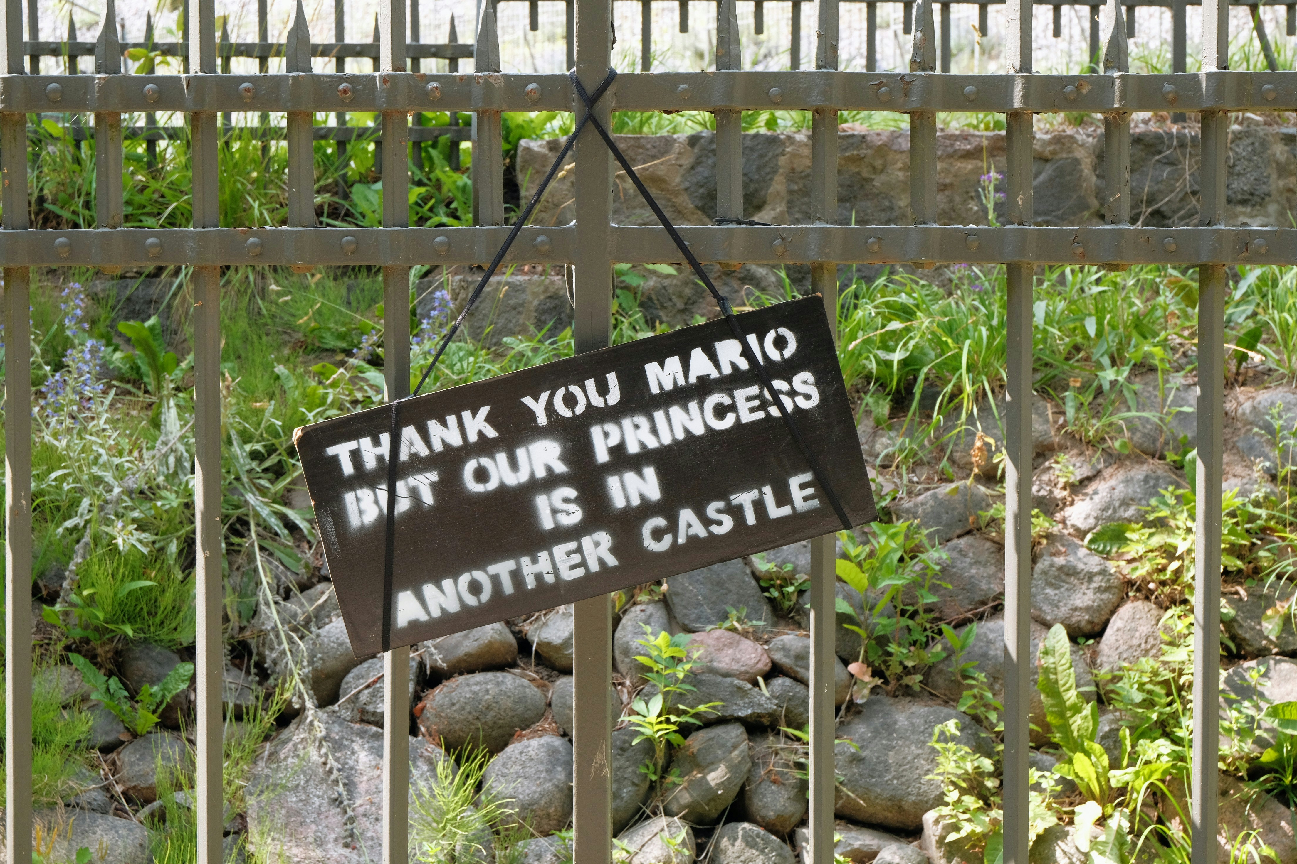 Sign hanging on a fence humorously referencing a classic video game trope. The background features greenery and rocks, enhancing the whimsical atmosphere.