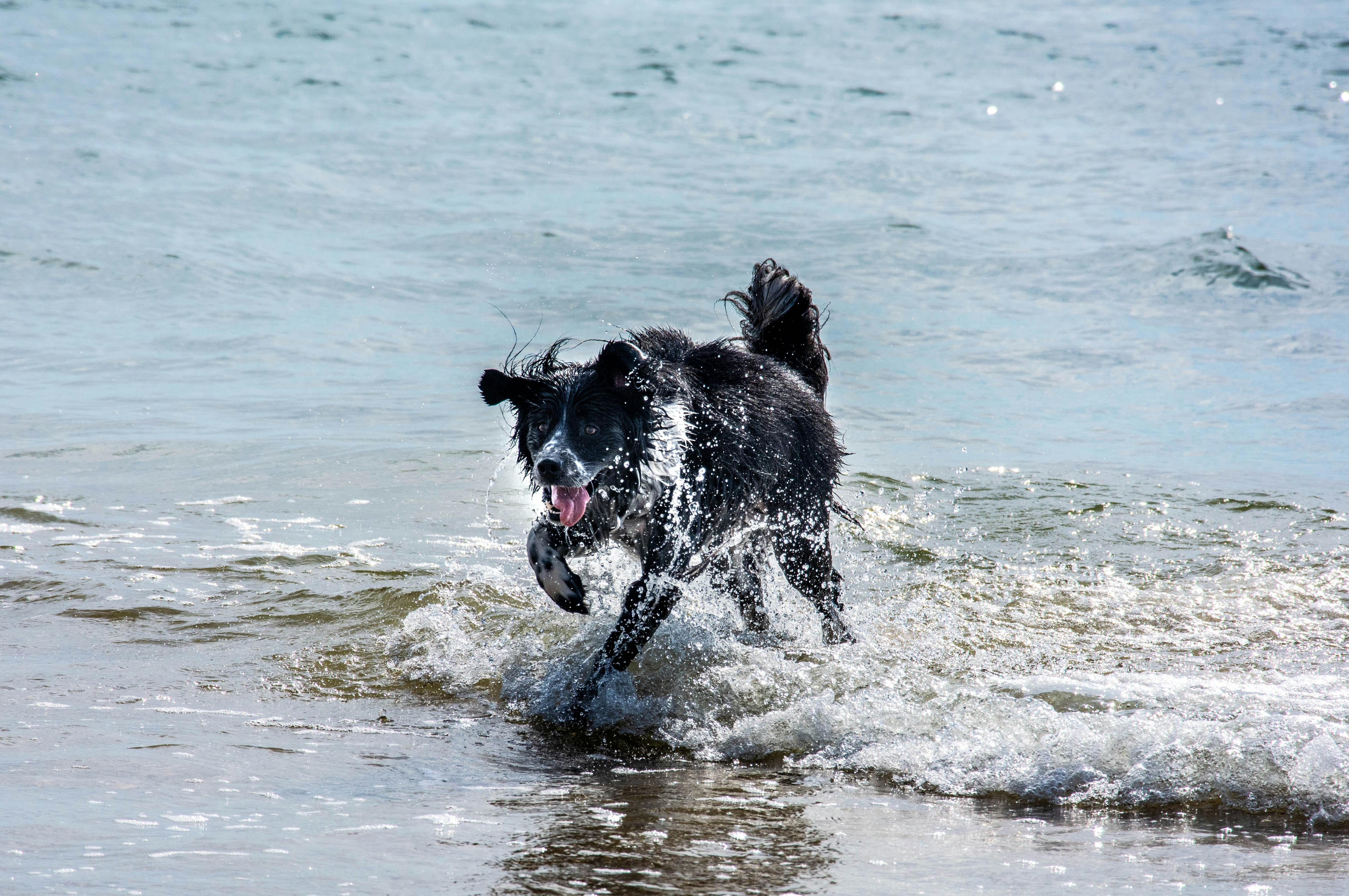 Photo by Arūnas Naujokas with Nikon D5200