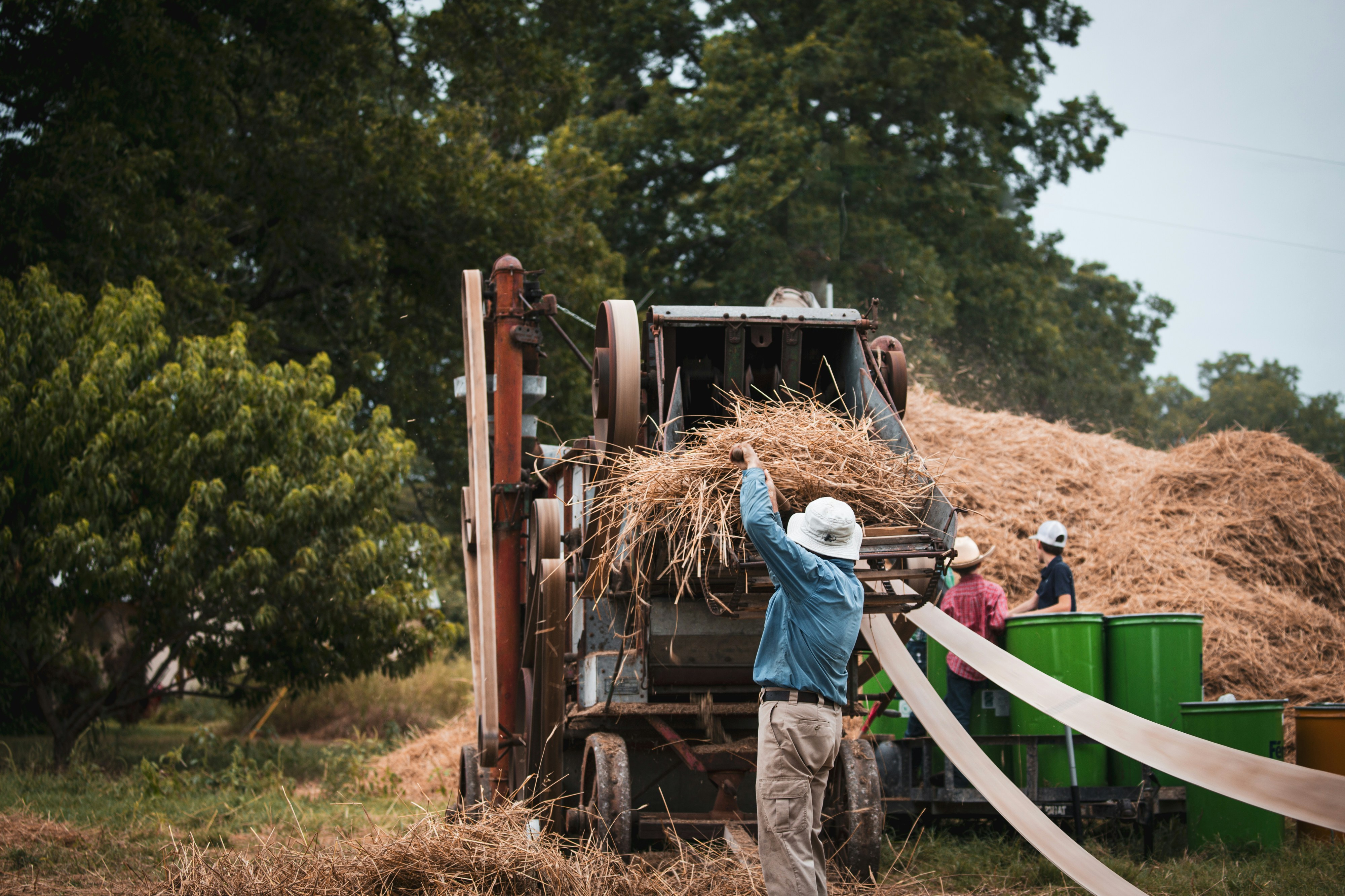 Photo by Howard R Wheeler with Canon EOS 5D Mark III