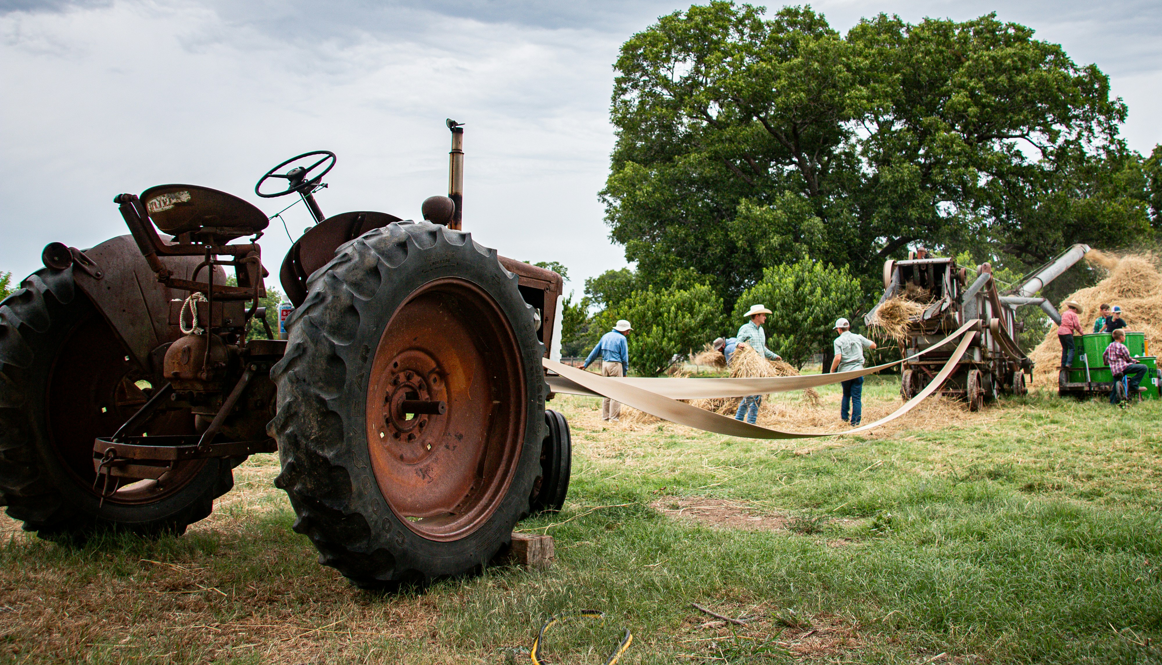 Iron on the Edge: A Weathered Tractor Framing a Rural Field Exhibit