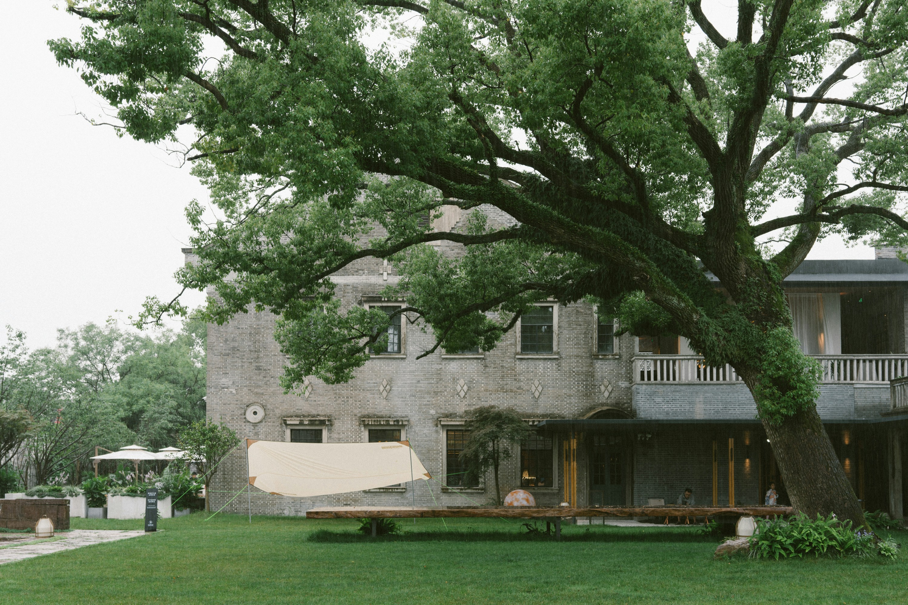A large house with a large tree in front of it photo – Free Grass Image ...