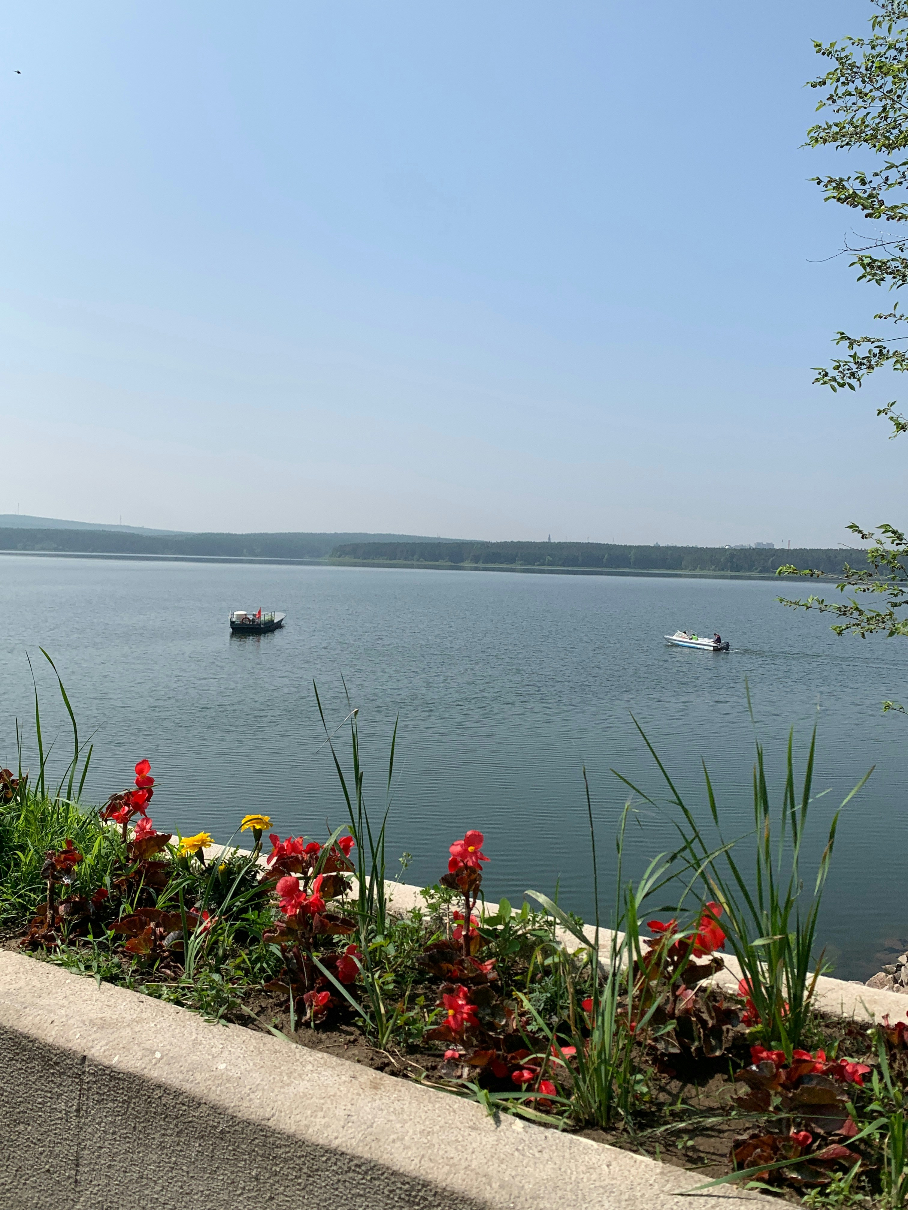Vibrant flowers line a lakeside path, with boats gently gliding across the calm water under a clear blue sky.