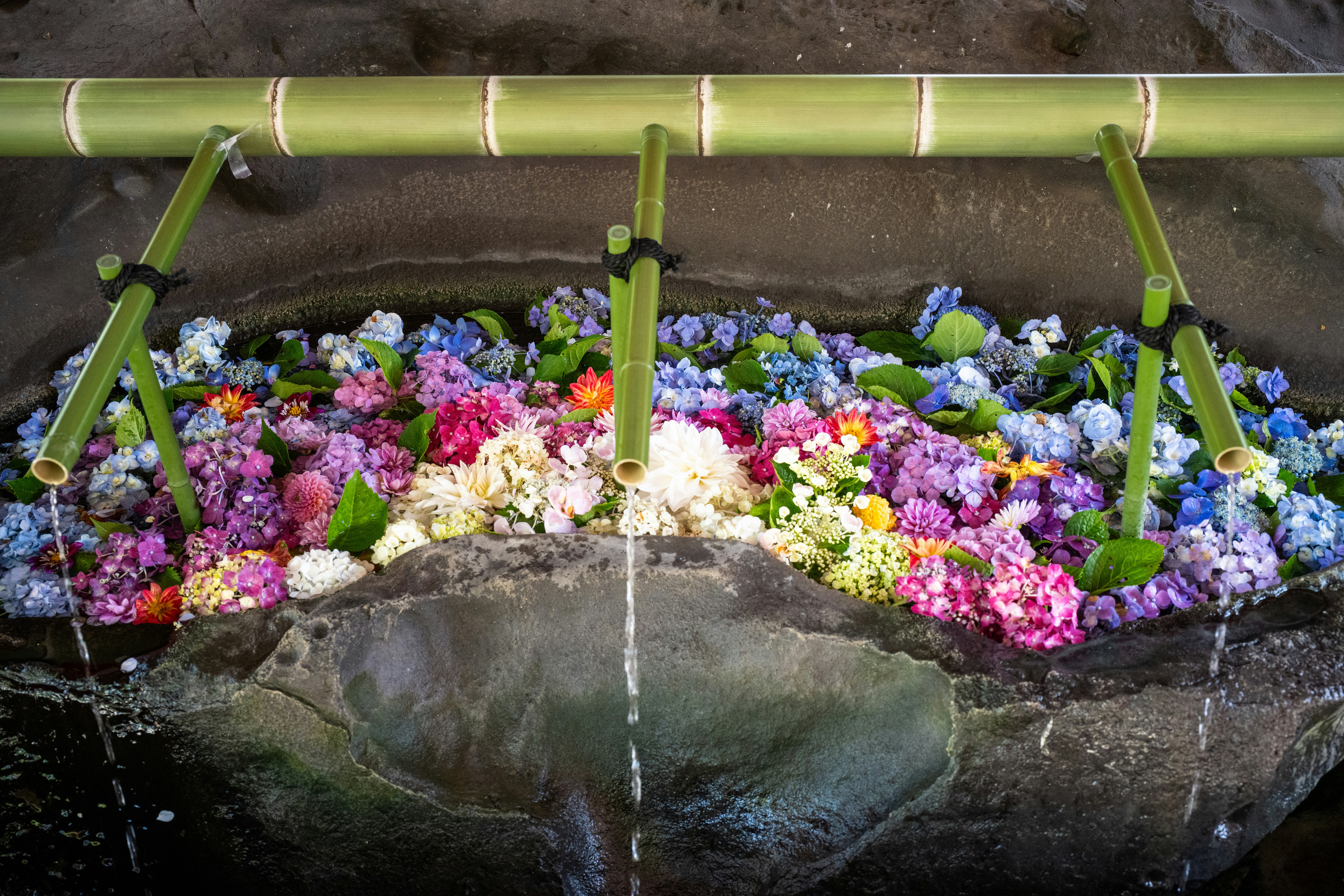 Hydrangea Mosaic Under Bamboo Rails with a Gentle Water Veil