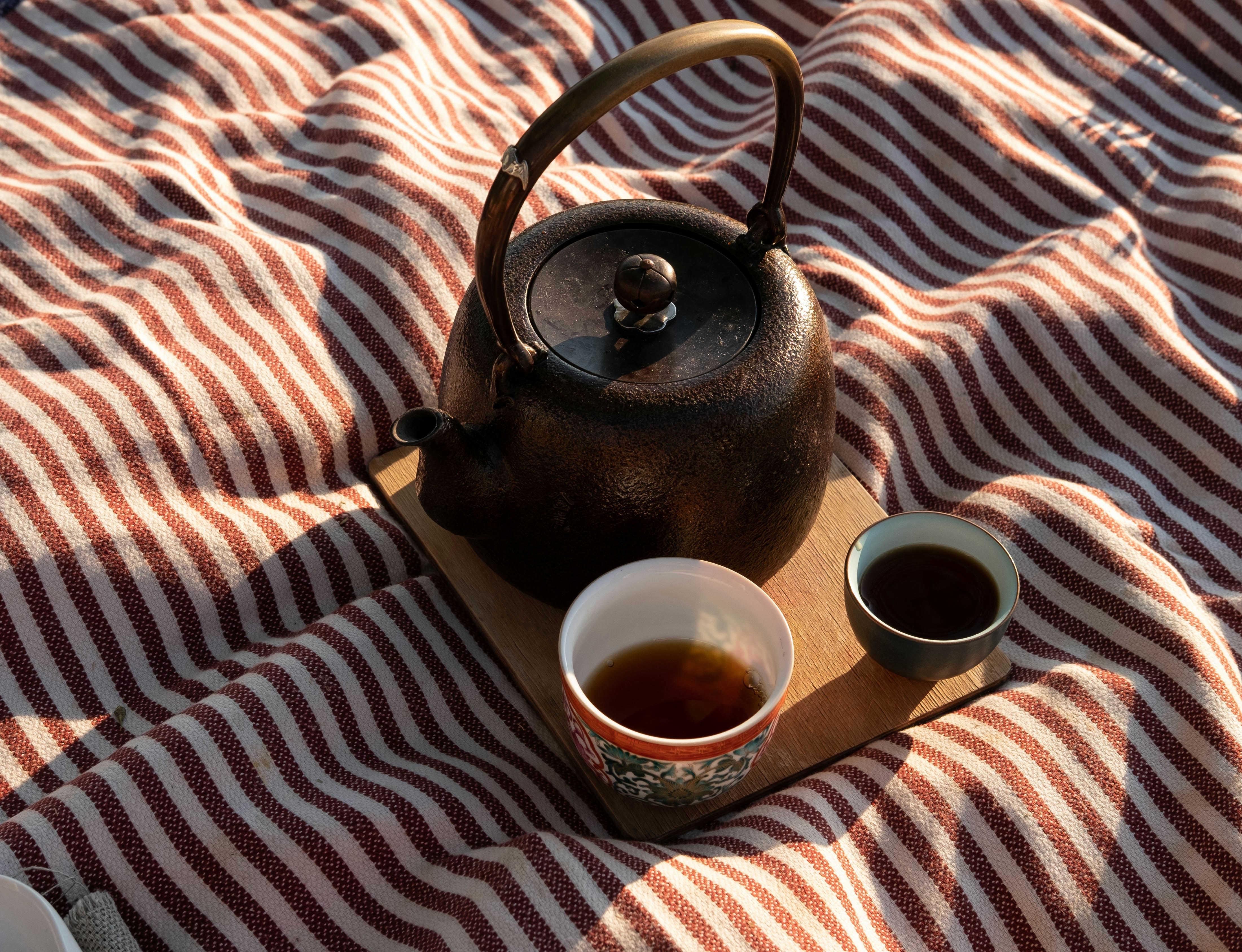 A tea pot and two cups of tea on a blanket photo – Free Cup Image on ...