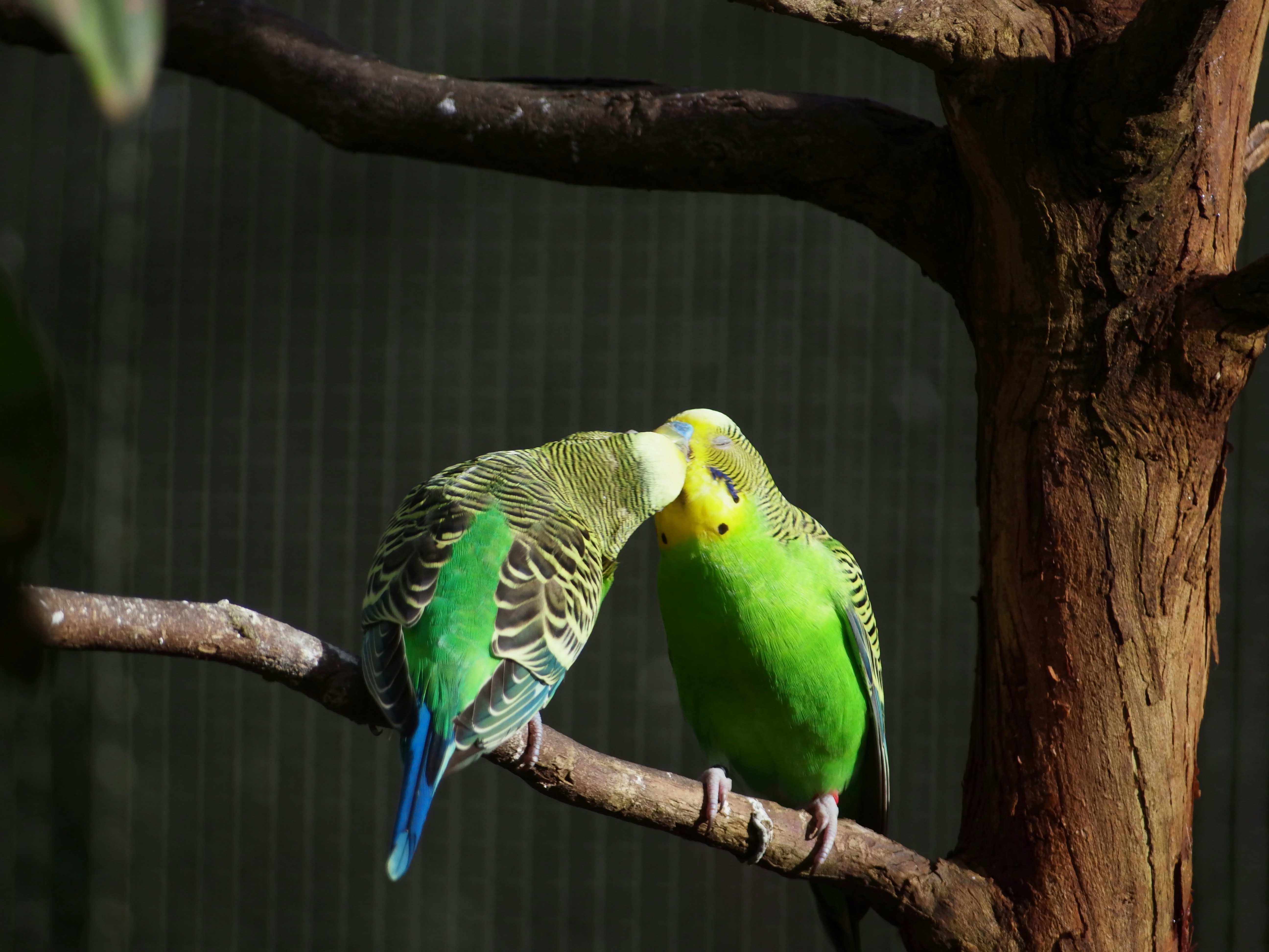 Photo by Arnold Zhou with Yi M1