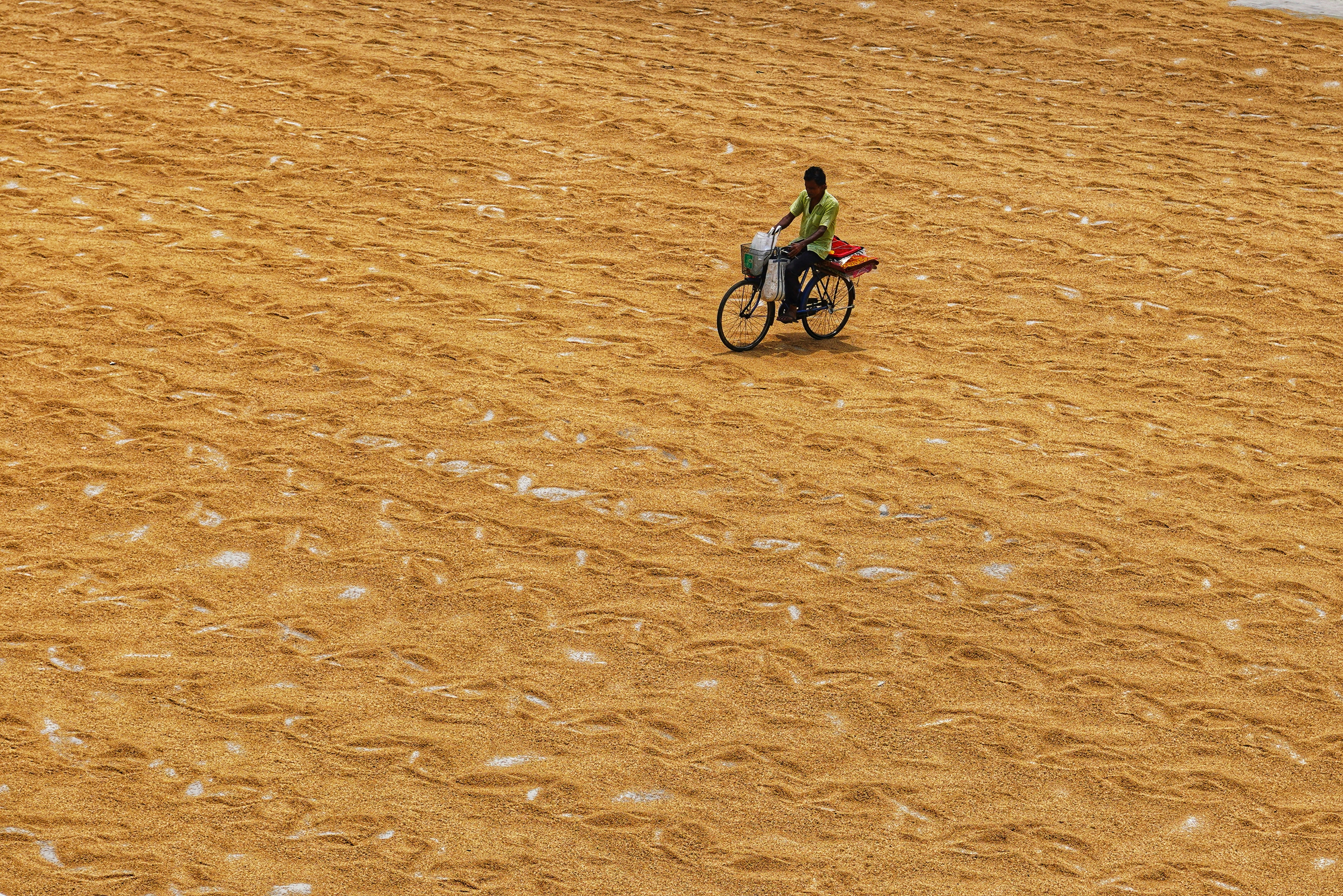 Desert Dune Rider: A lone cyclist threads wind-sculpted sands