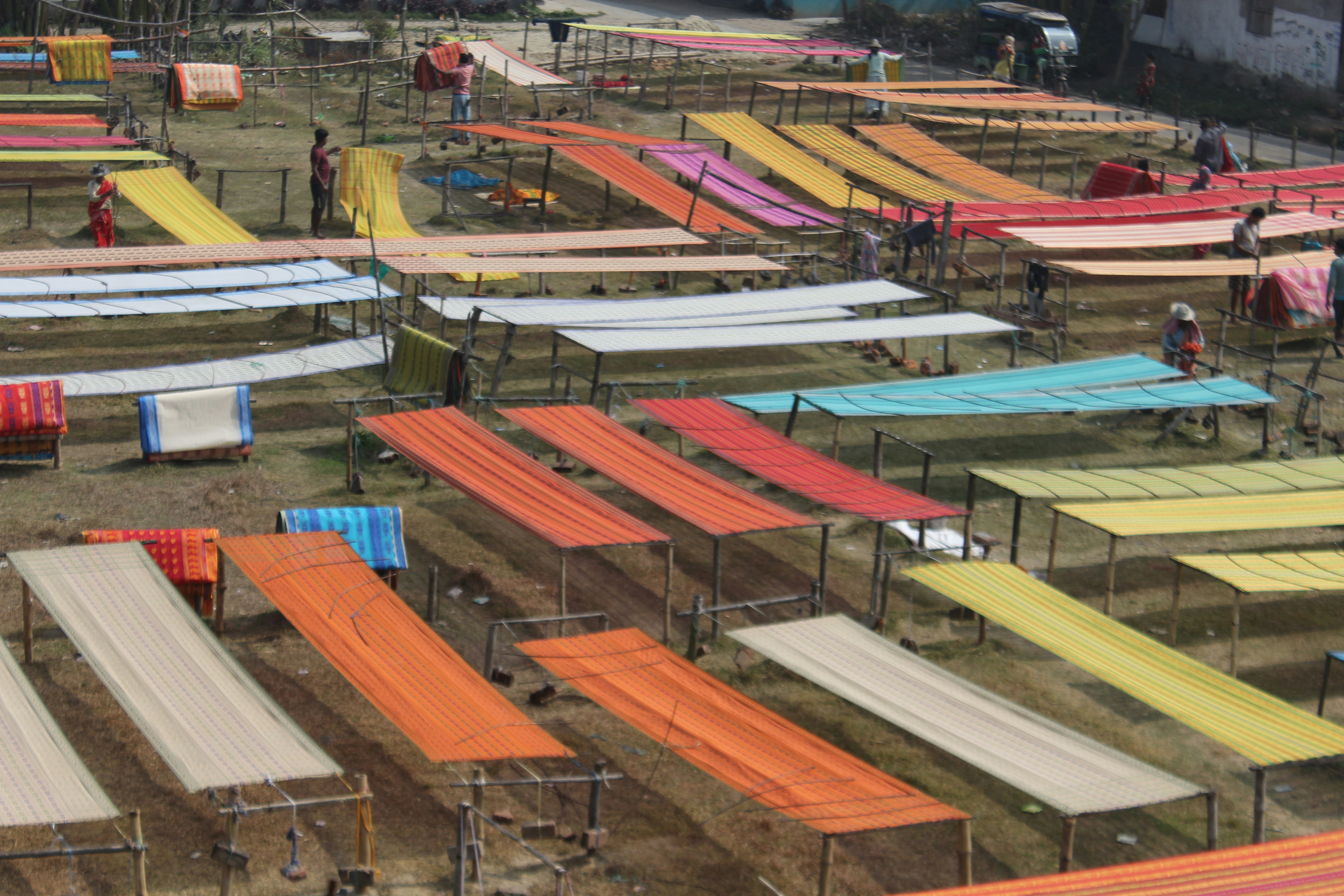 Aerial Rainbow of Canopy Rows: Sunlit Fabric Grid