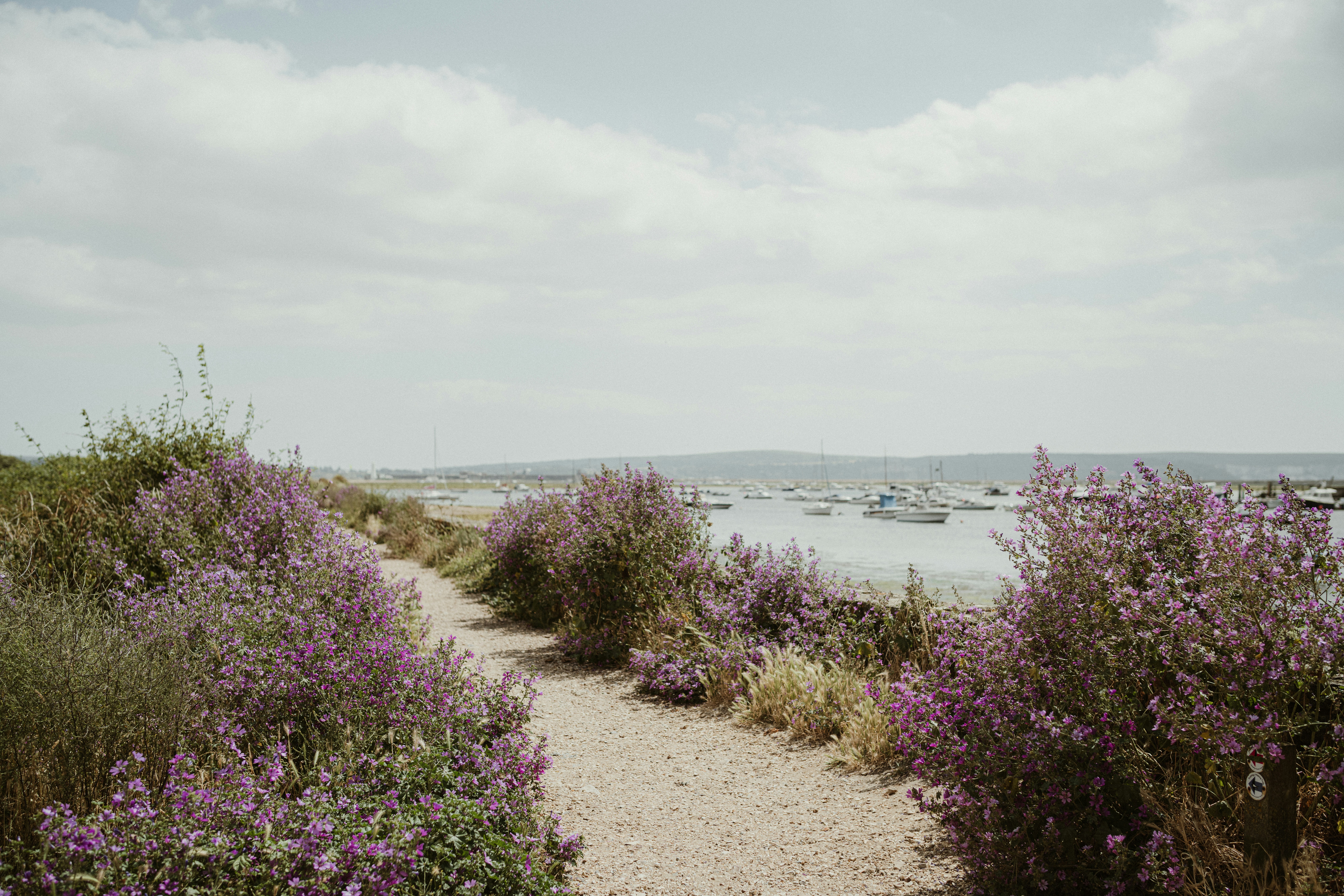 A path leading to a beach with boats in the water photo – Free Coast ...