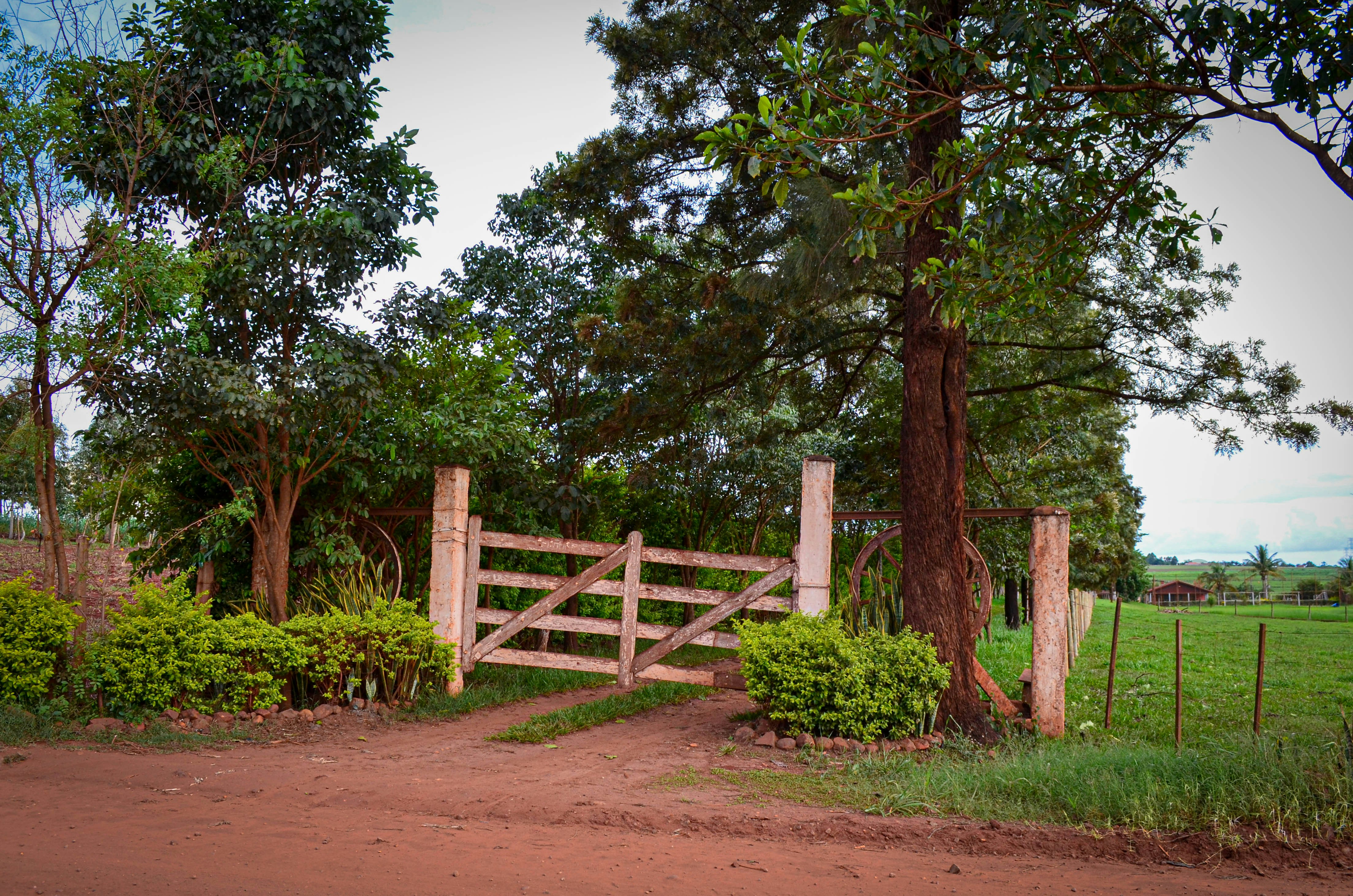 Gate at the Field's Edge: Rustic Quietude Along a Red Dirt Lane