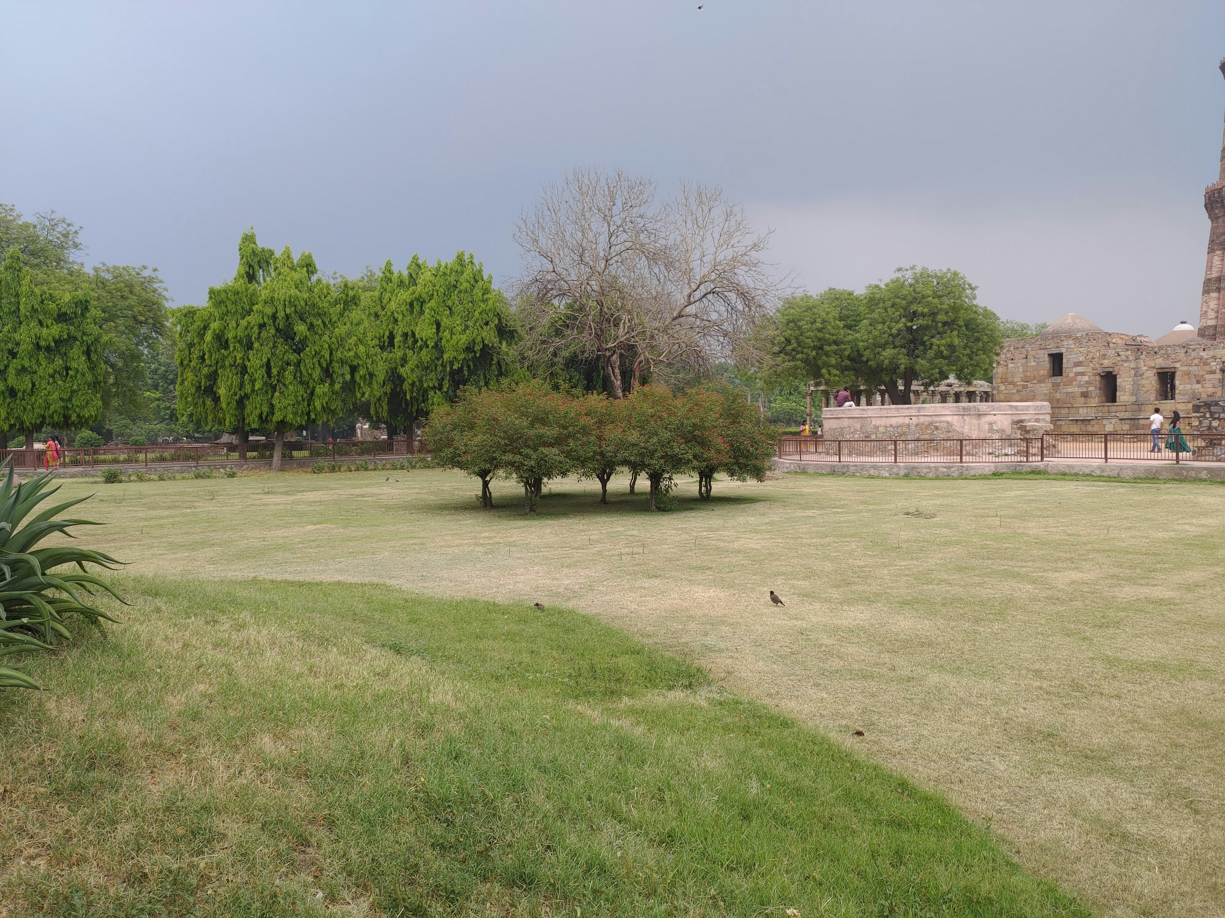 Lawn, Ruins, and Quiet Skies: A Park's Hidden Story