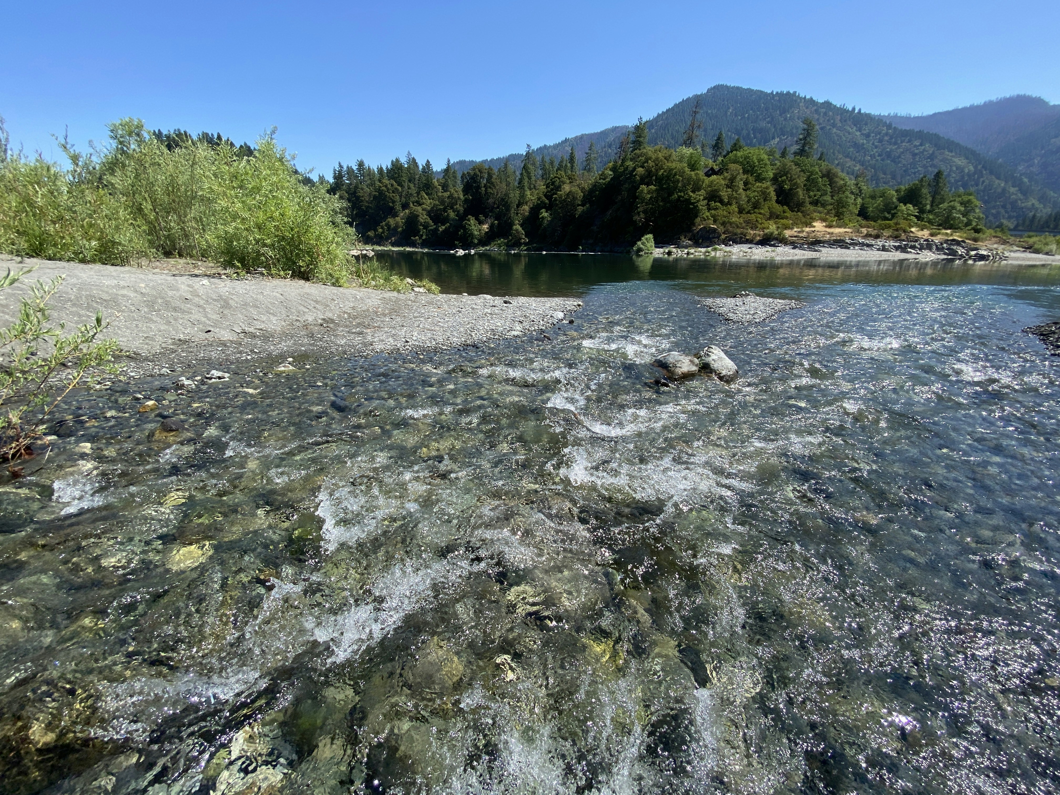 Ripple's Edge: Stones, Water, and Mountain Silence