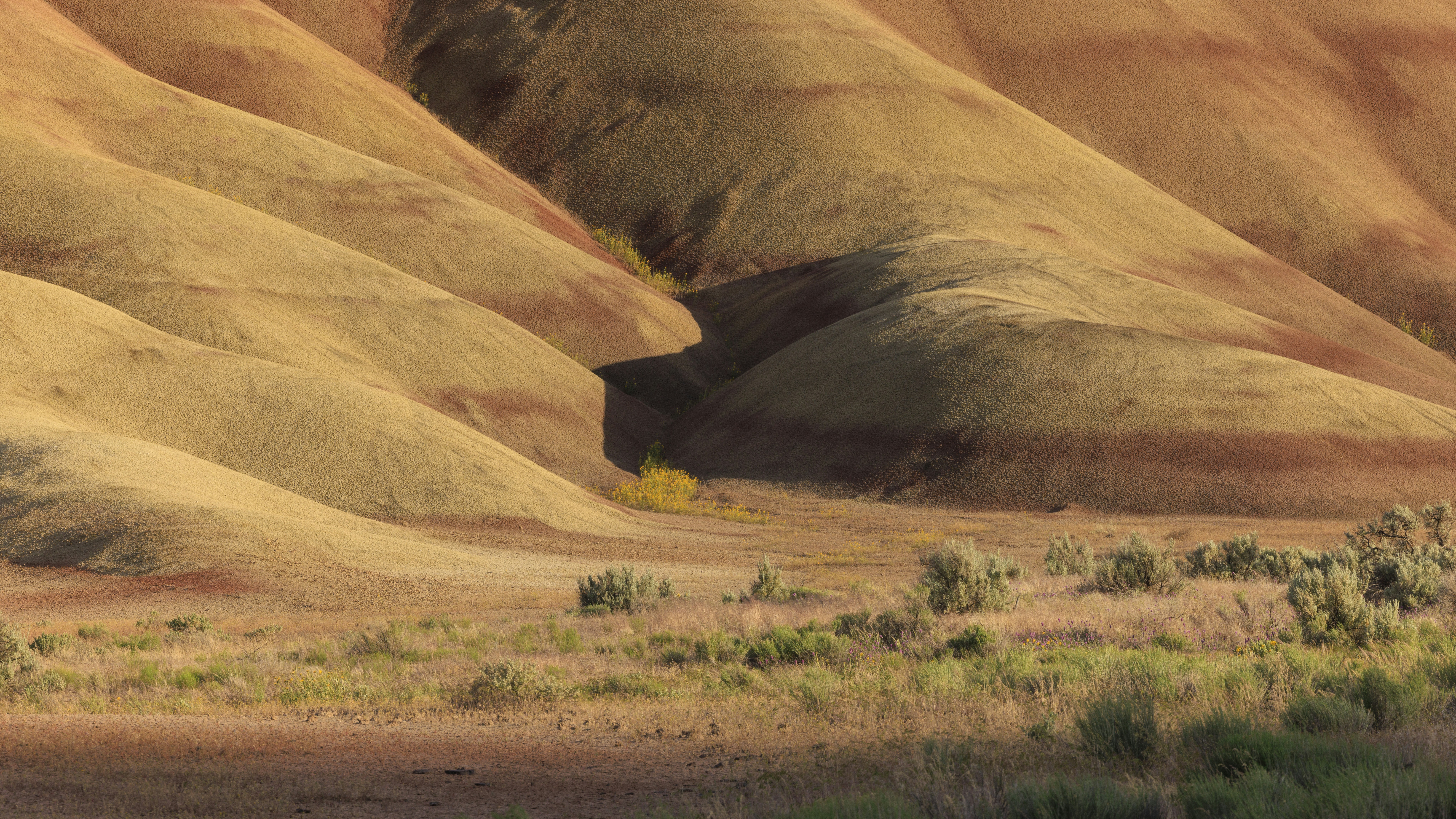 Un groupe de collines qui sont dans le désert photo – Image gratuite de ...