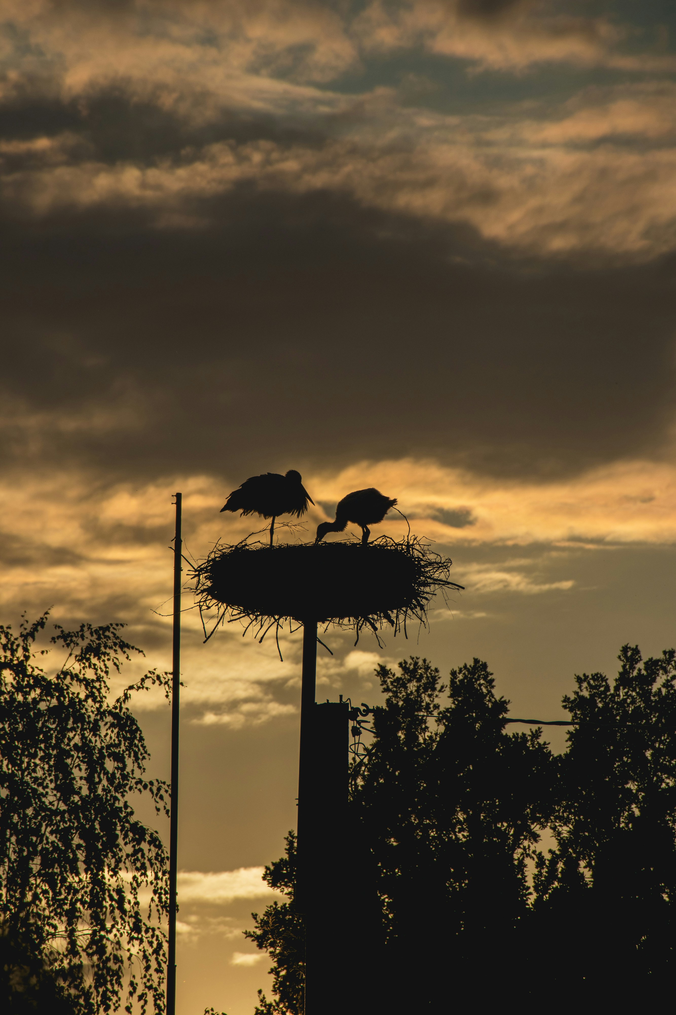 Dusk Sentinels on a Nesting Turret Beneath a Burnished Horizon