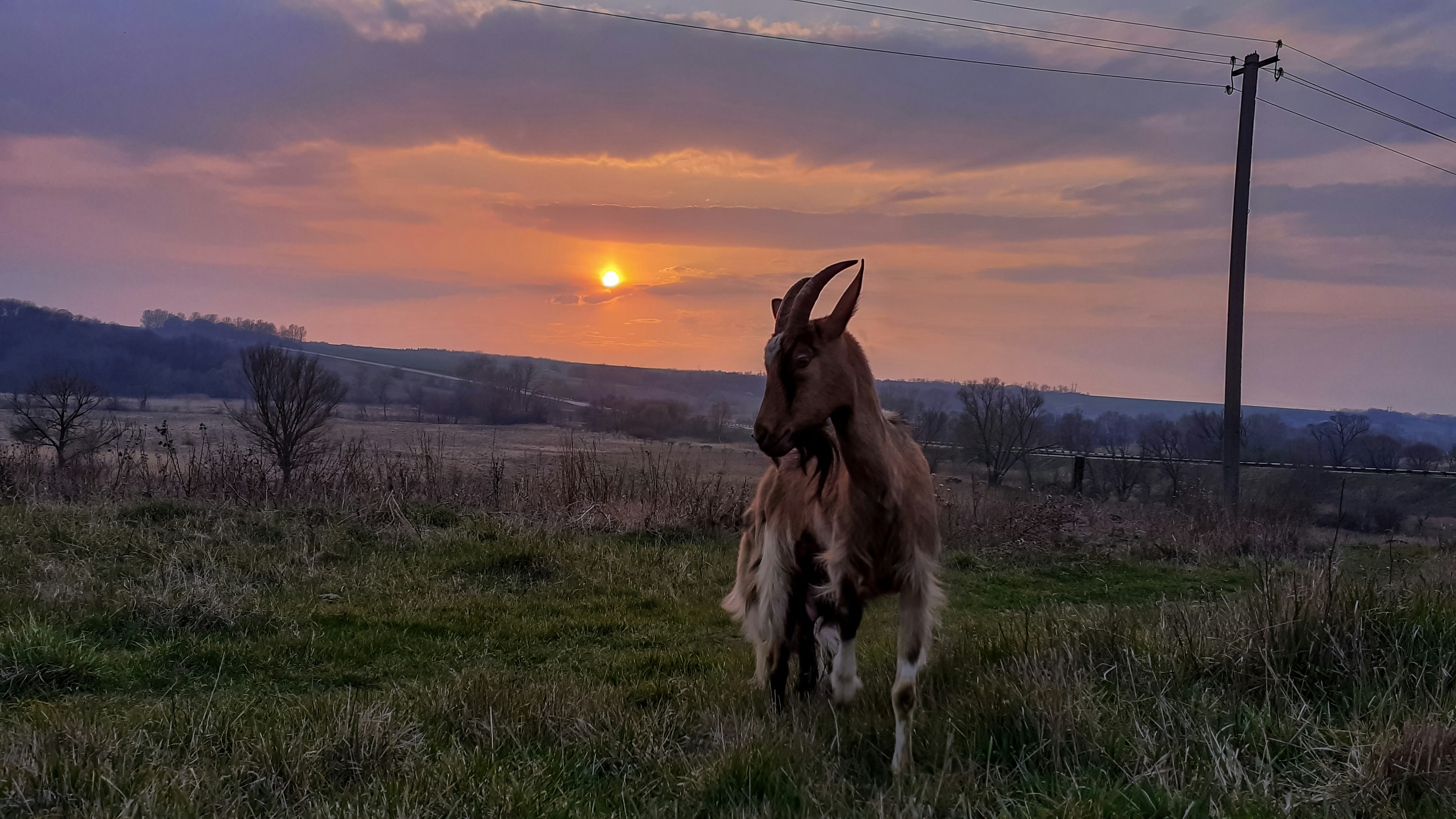 Samsung Galaxy A10 Sample Shots
