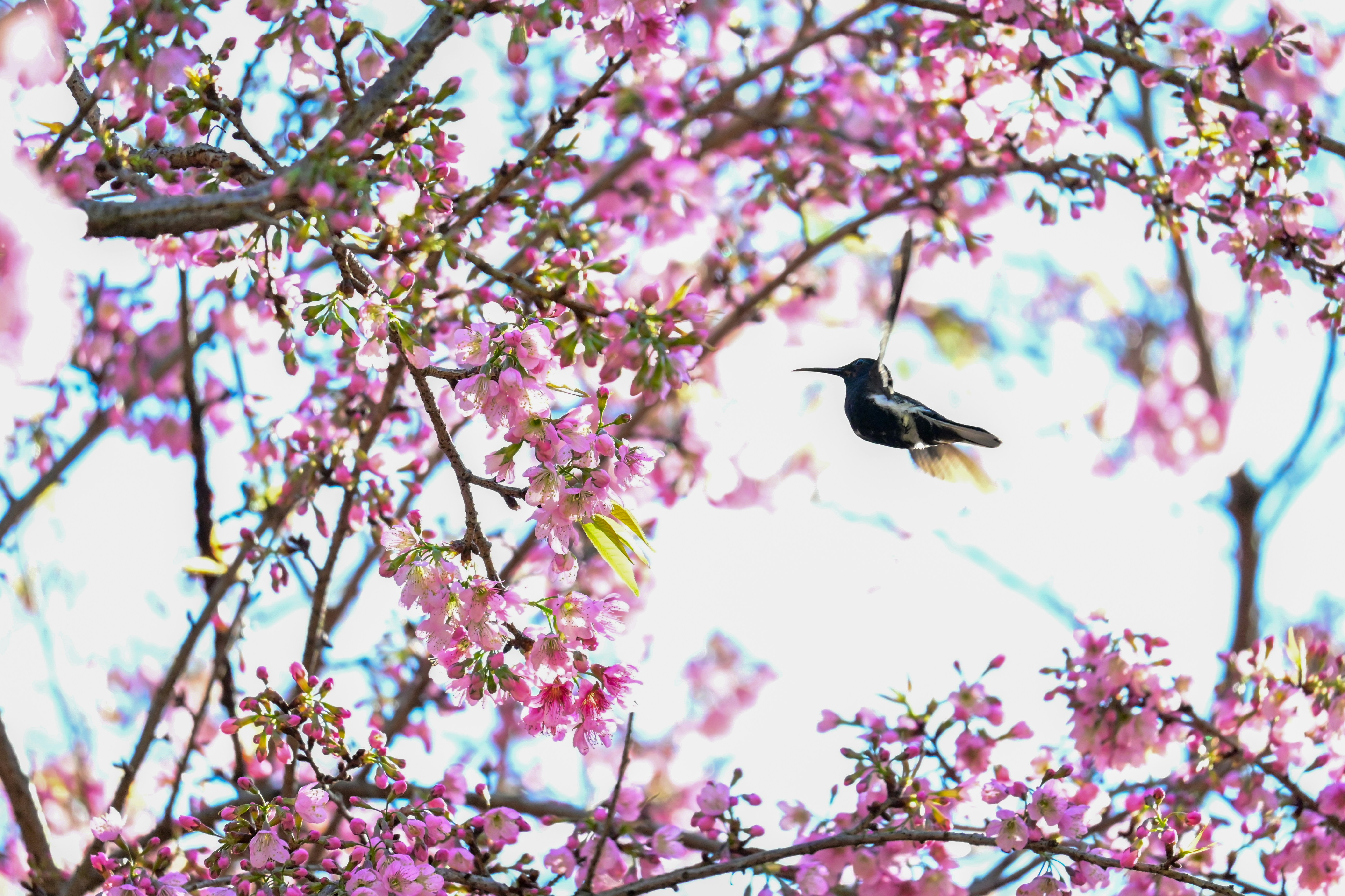 Instituto Inhotim is a contemporary art museum and botanical garden located in Brumadinho, Minas Gerais - Brazil.