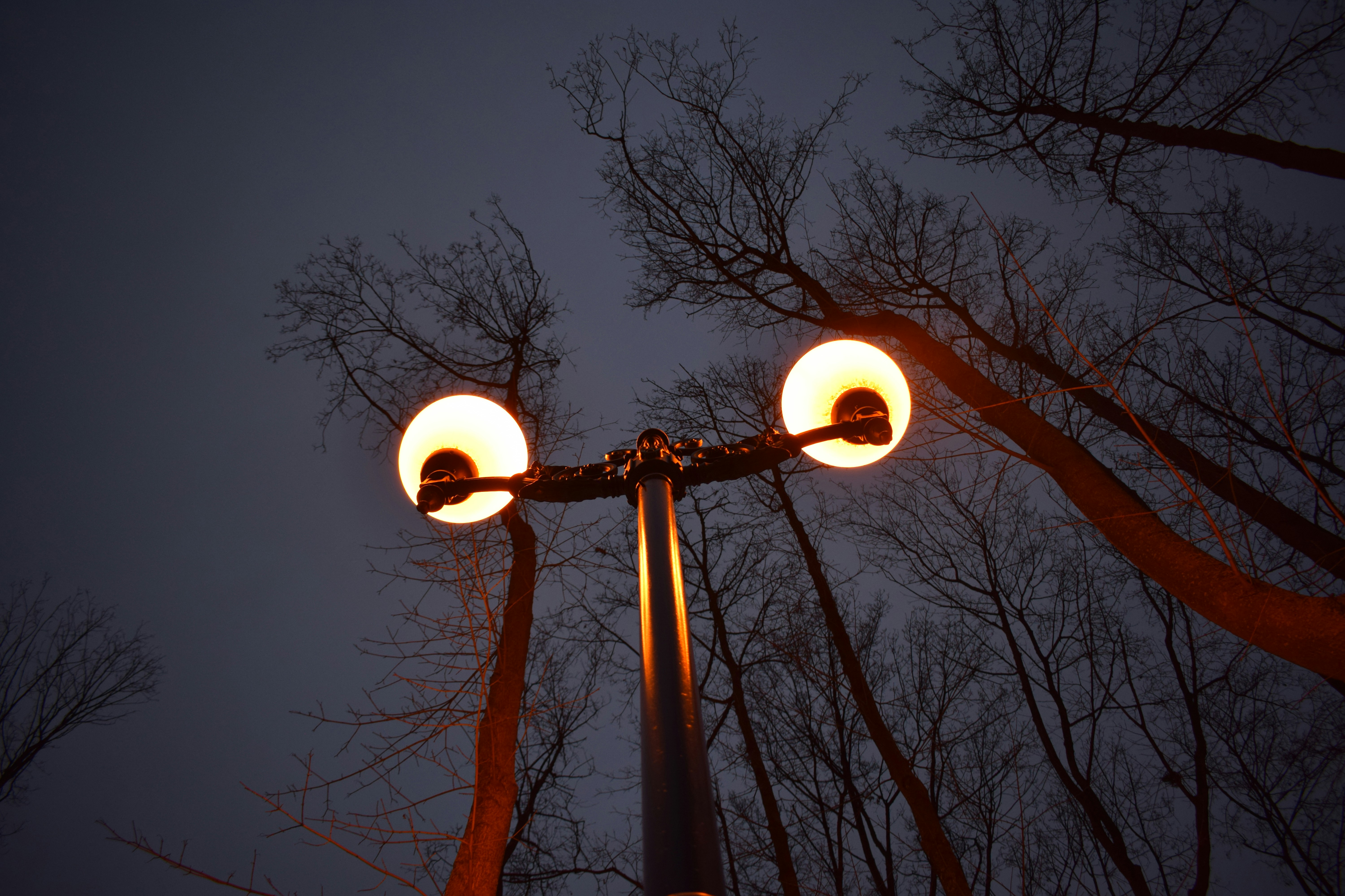 Twin Lanterns Crown the Night Above Bare Winter Branches