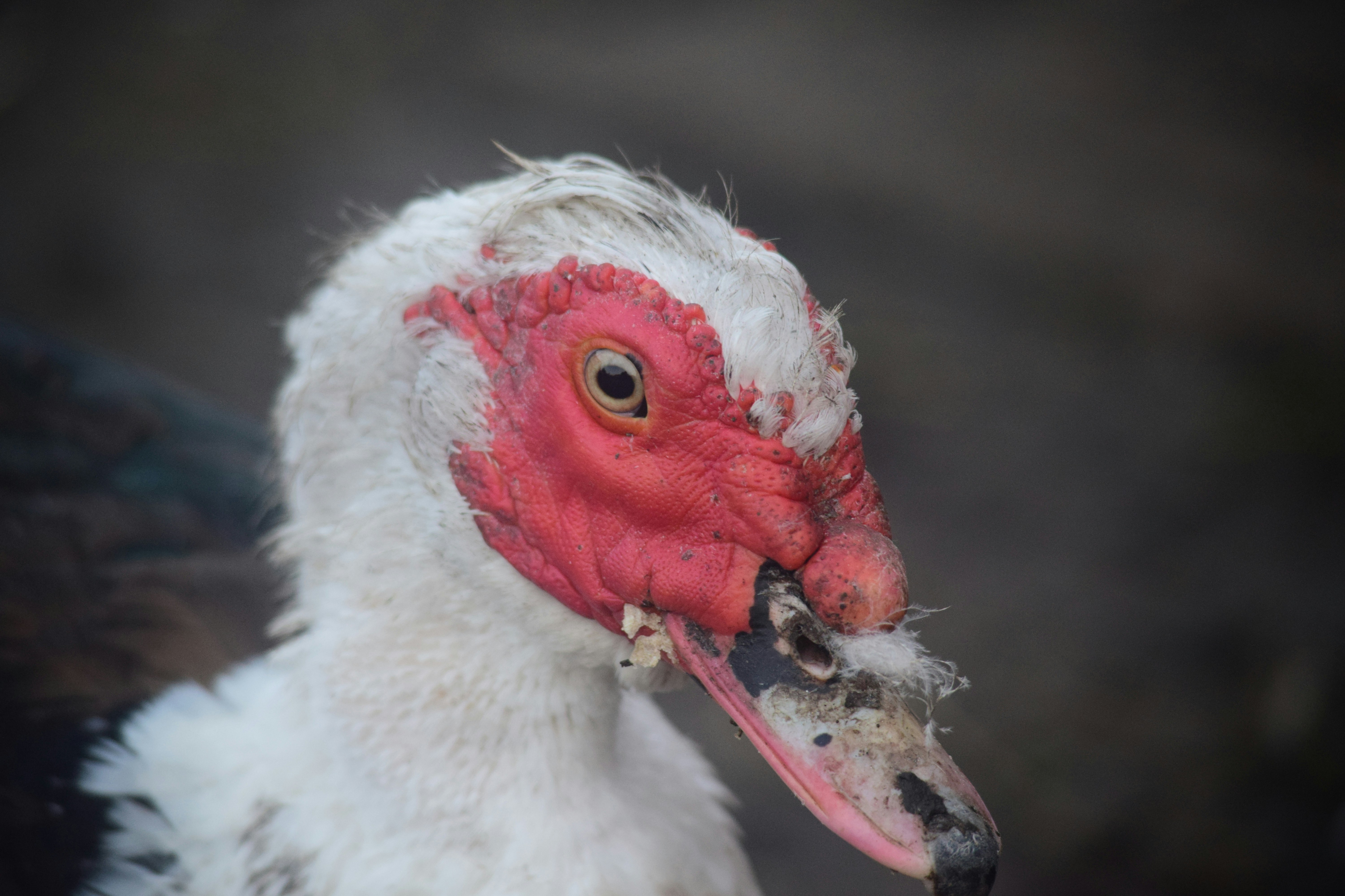 Photo by Anna Читова with Nikon D5300