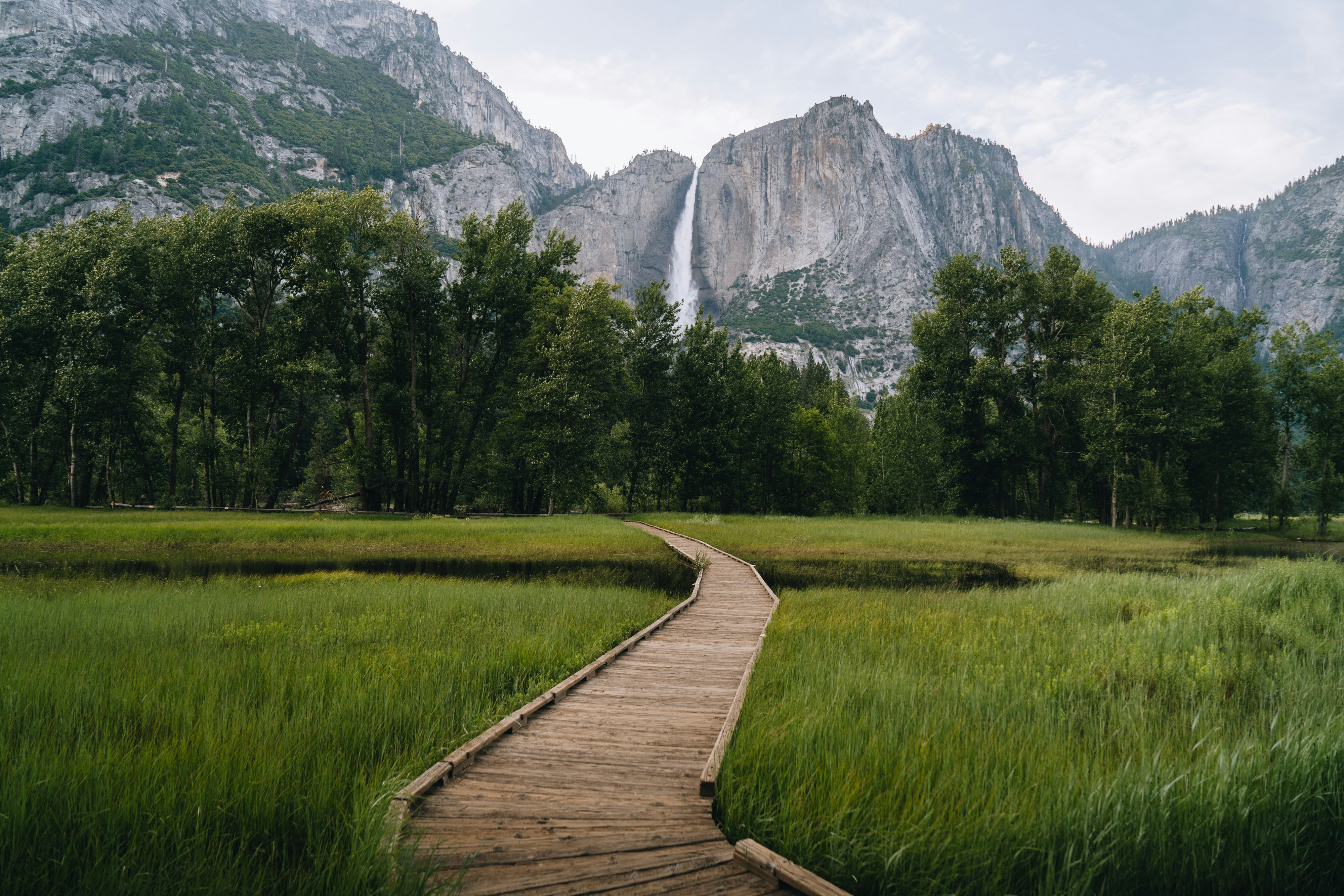 Boardwalk Through Emerald Marsh to a Hidden Cascade Beneath Granite Cliffs
